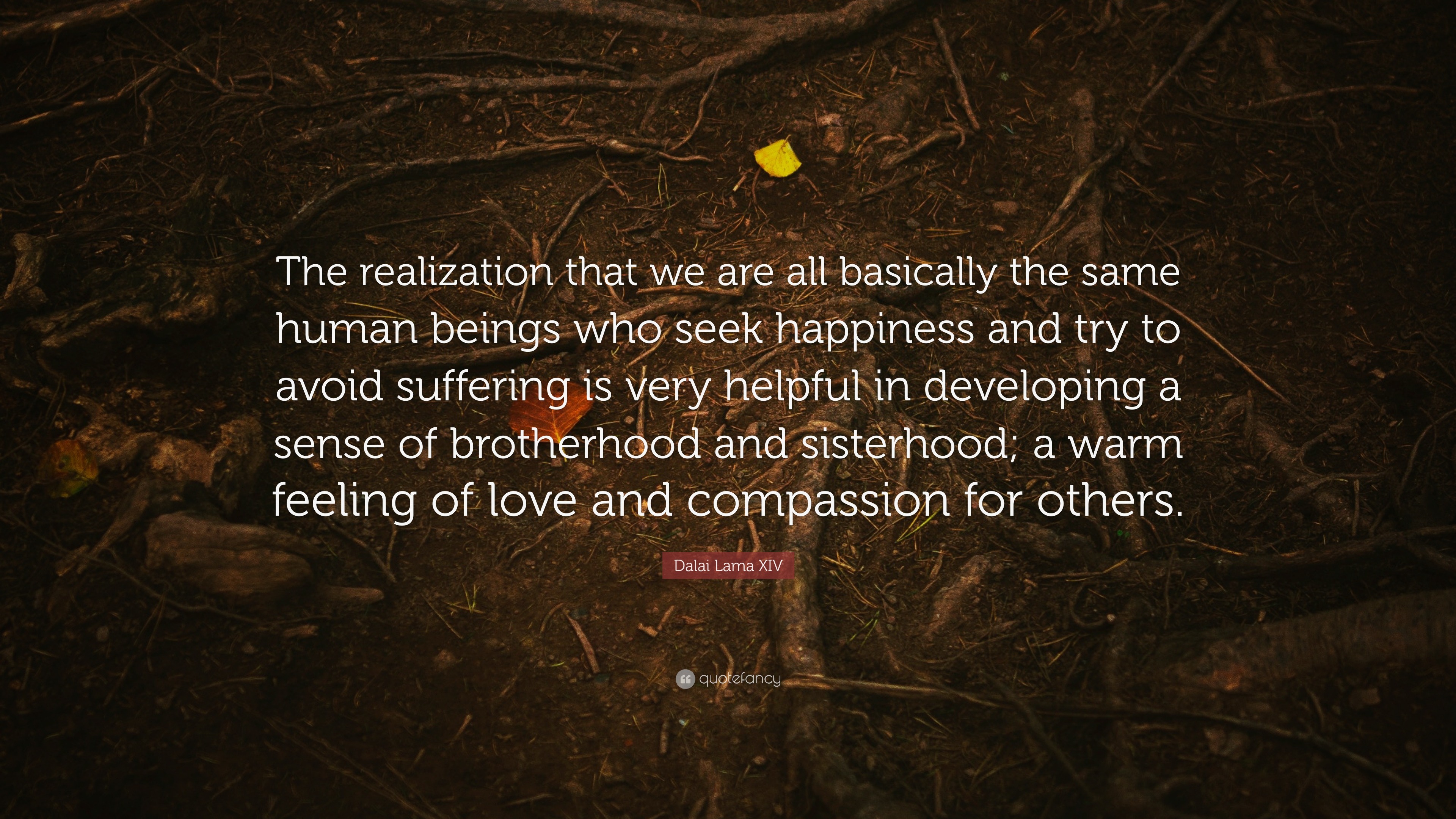 Dalai Lama XIV Quote: “The realization that we are all basically the ...