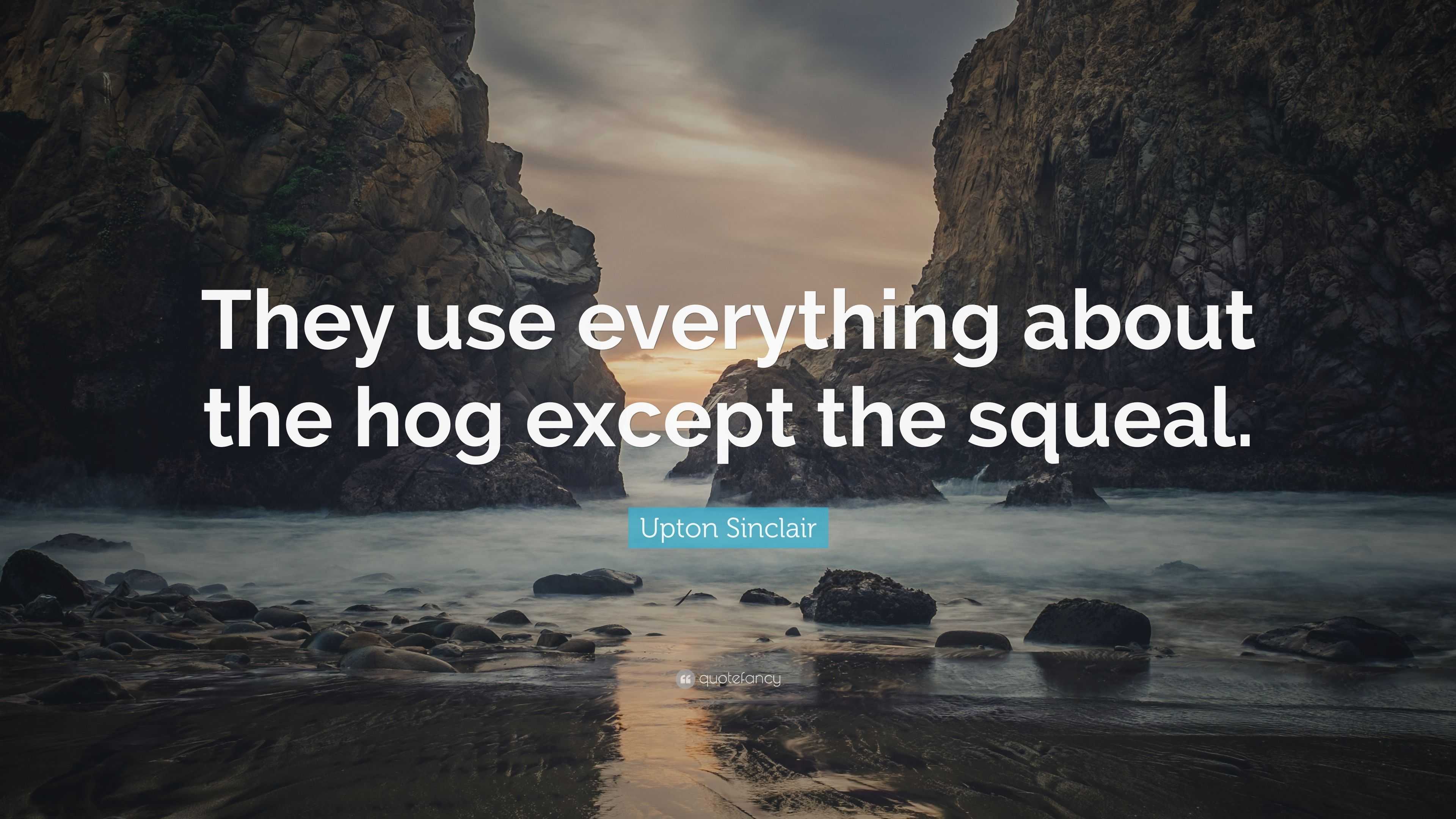 Upton Sinclair Quote: “They use everything about the hog except the ...