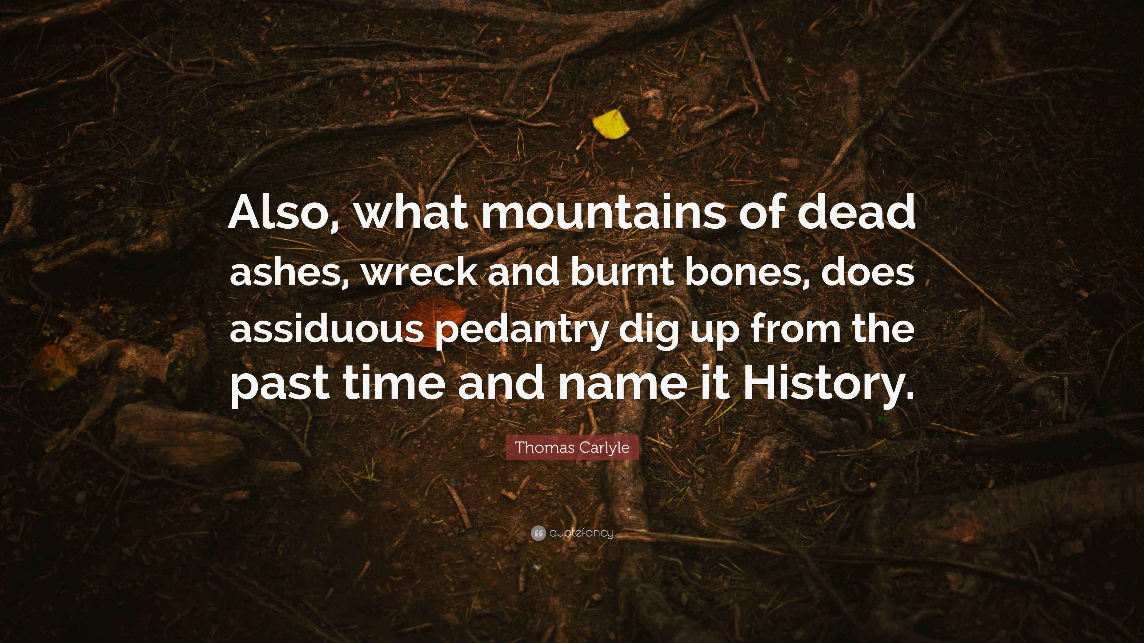 Thomas Carlyle Quote: “Also, what mountains of dead ashes, wreck and ...