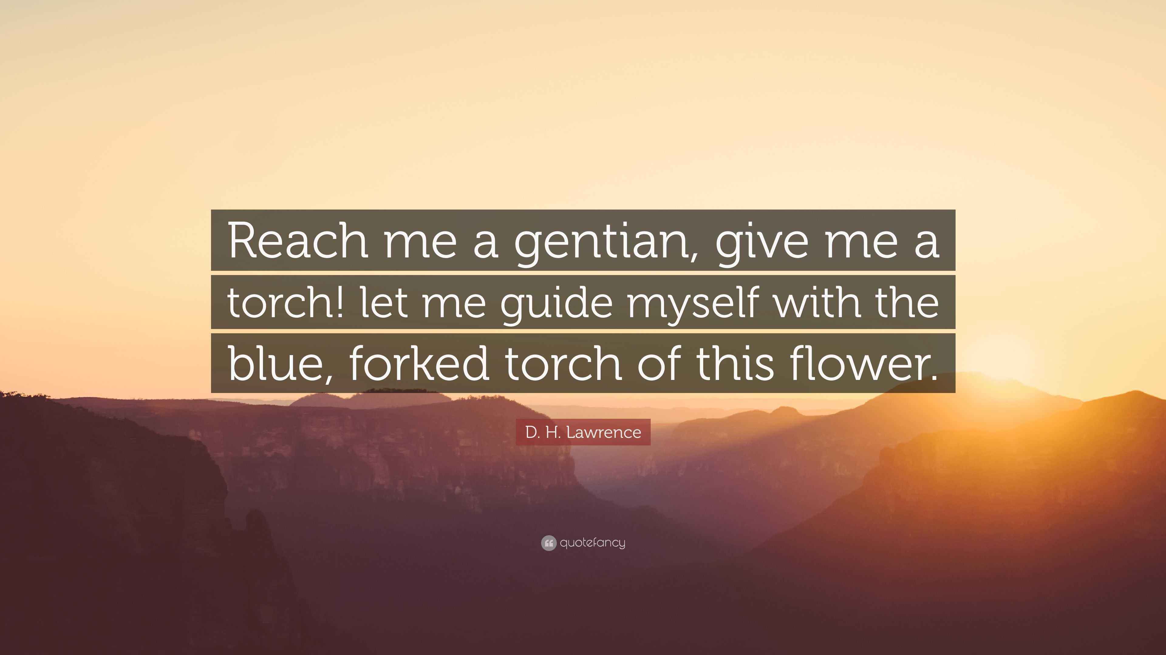 D. H. Lawrence Quote: “Reach me a gentian, give me a torch! let me ...