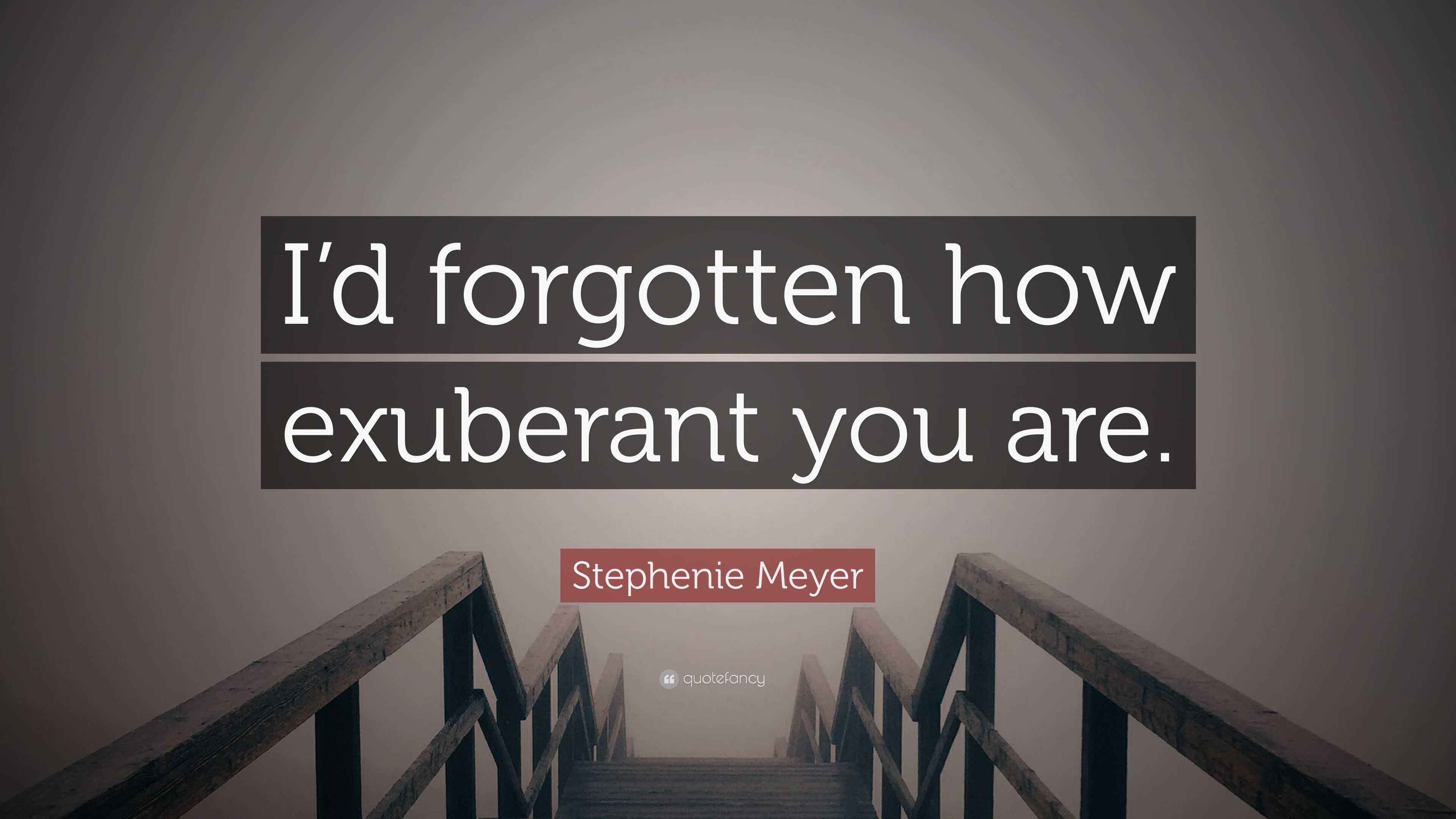 Stephenie Meyer Quote: “I’d forgotten how exuberant you are.”