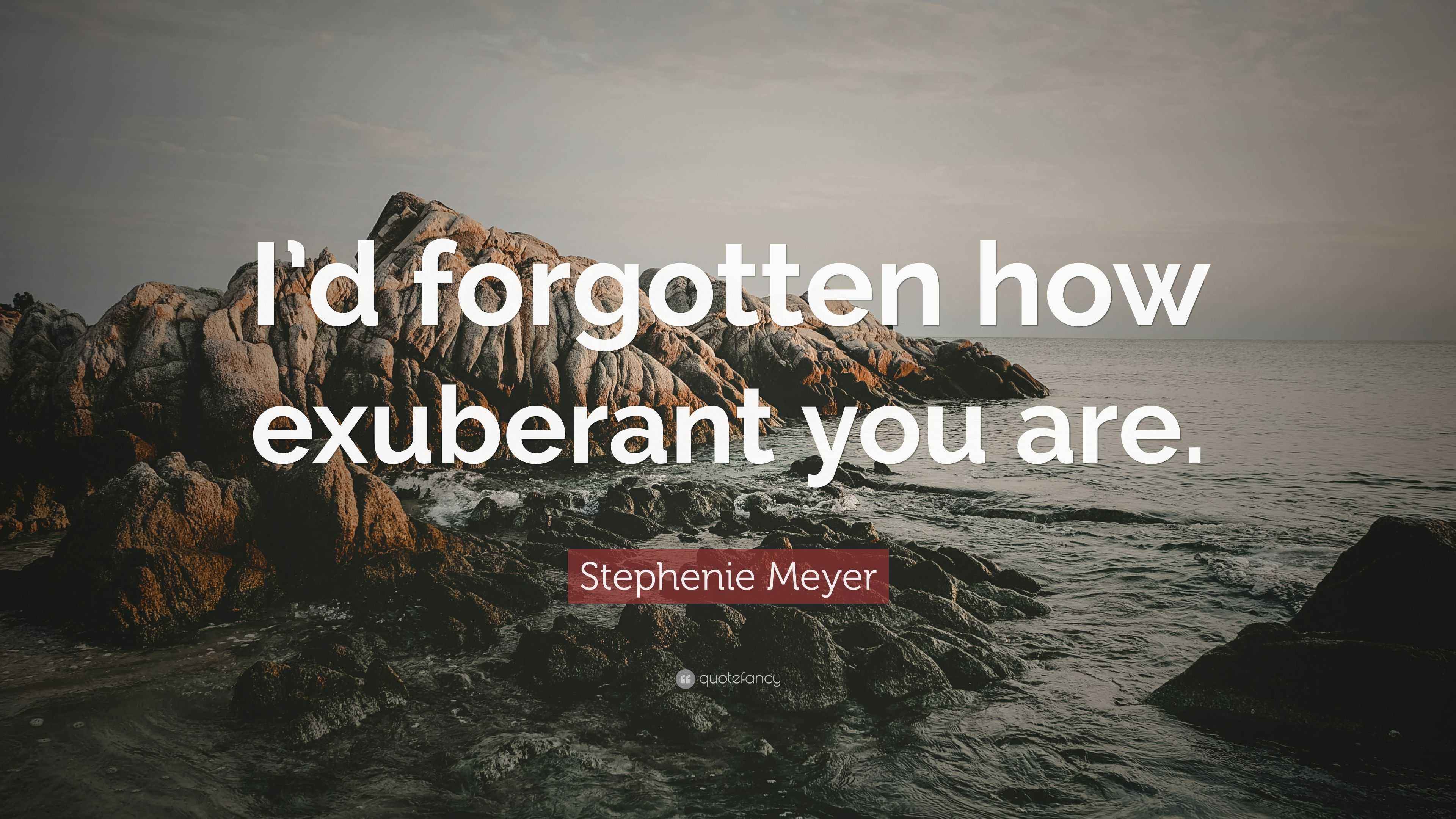 Stephenie Meyer Quote: “I’d forgotten how exuberant you are.”