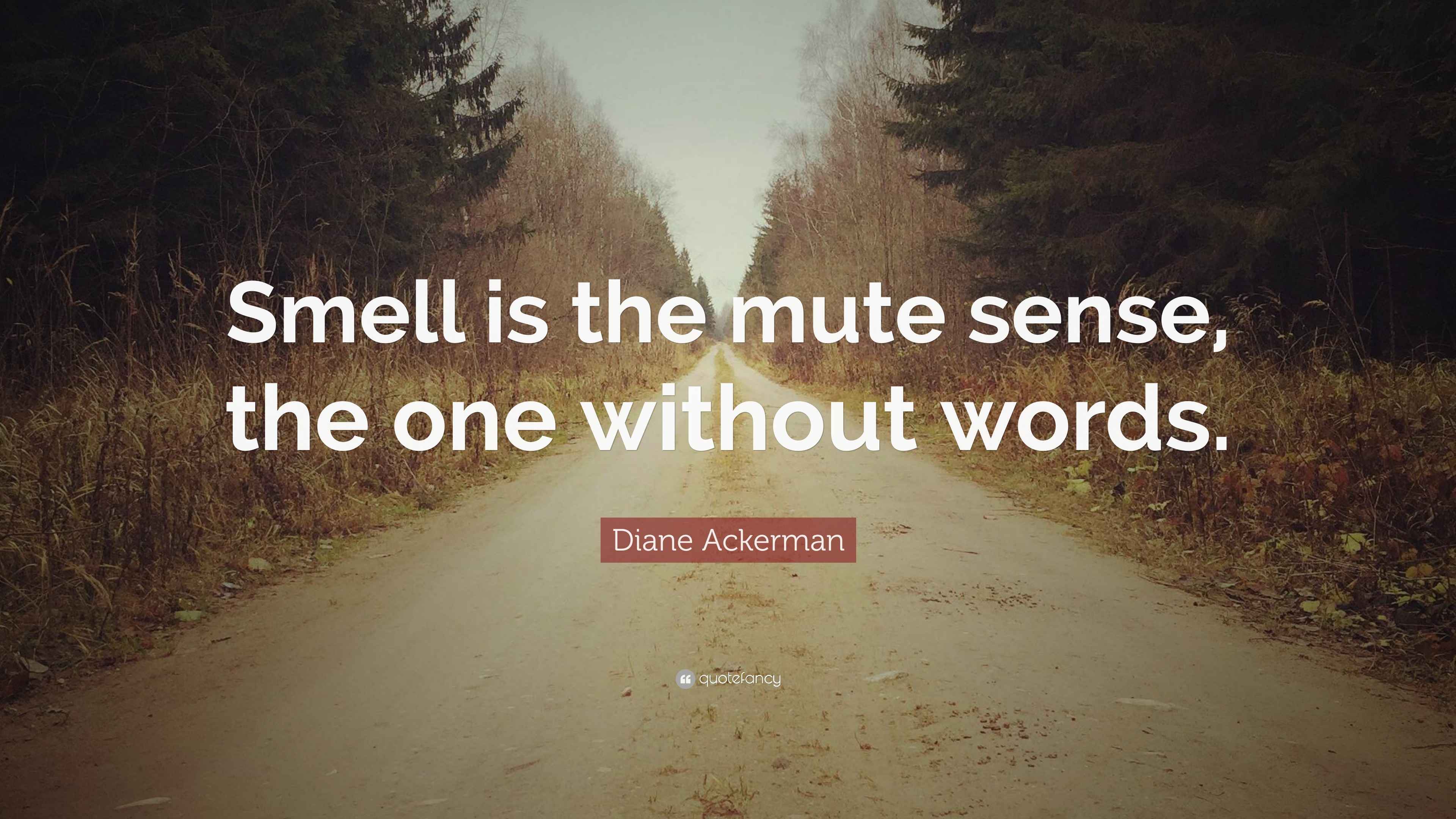 Diane Ackerman Quote: “Smell is the mute sense, the one without words.”