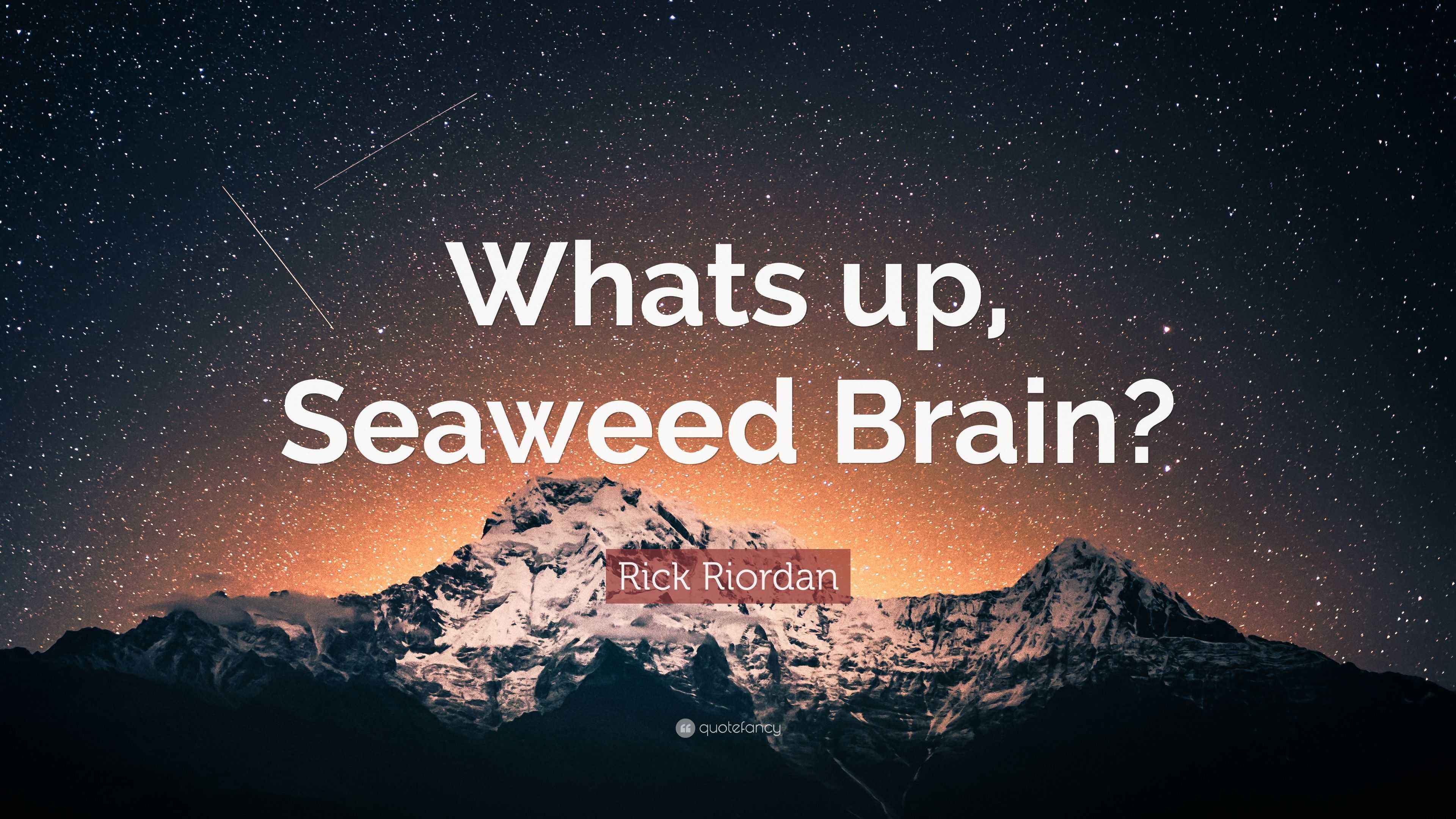 Rick Riordan Quote: “Whats up, Seaweed Brain?”