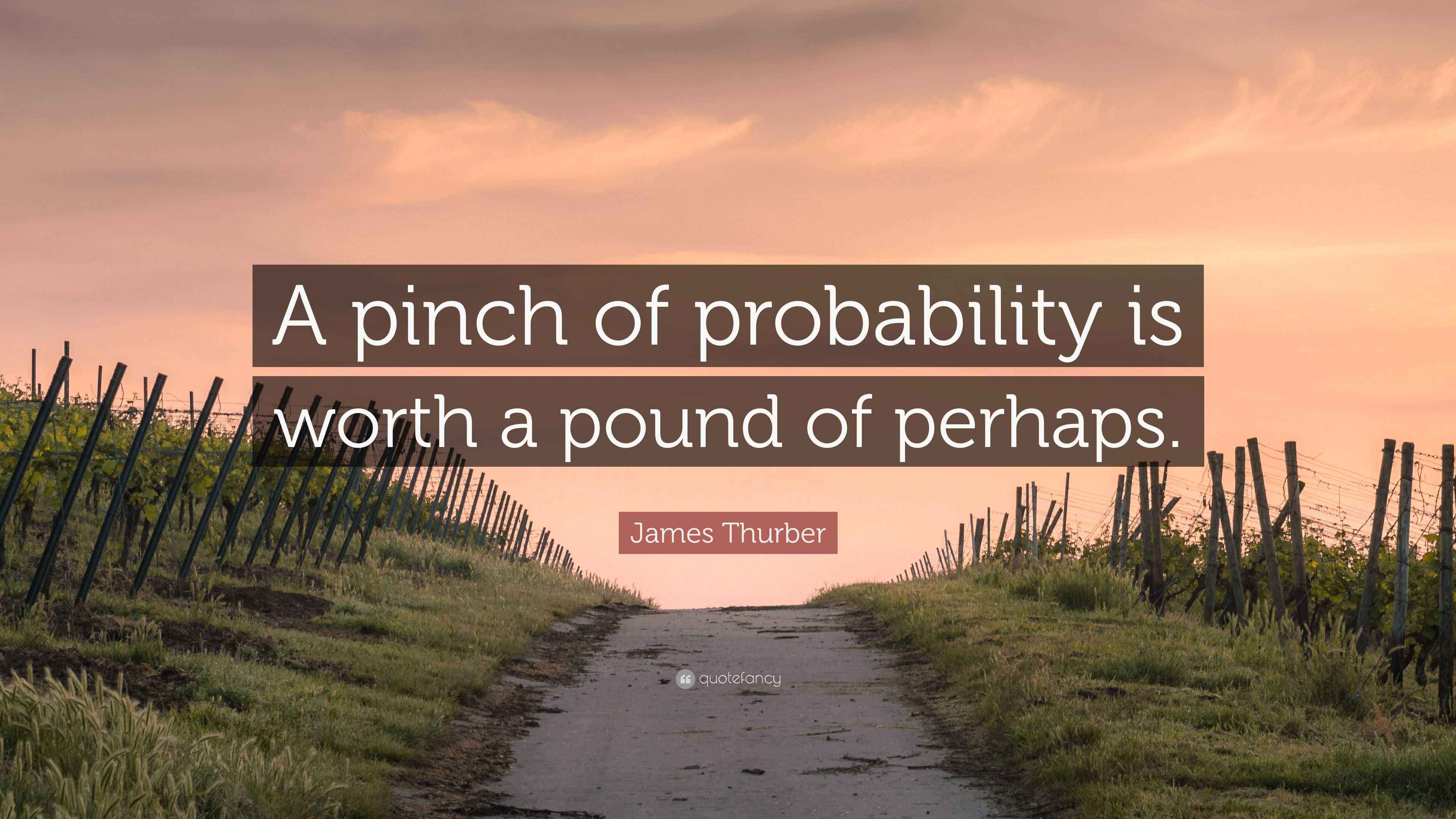 James Thurber Quote: “A pinch of probability is worth a pound of perhaps.”