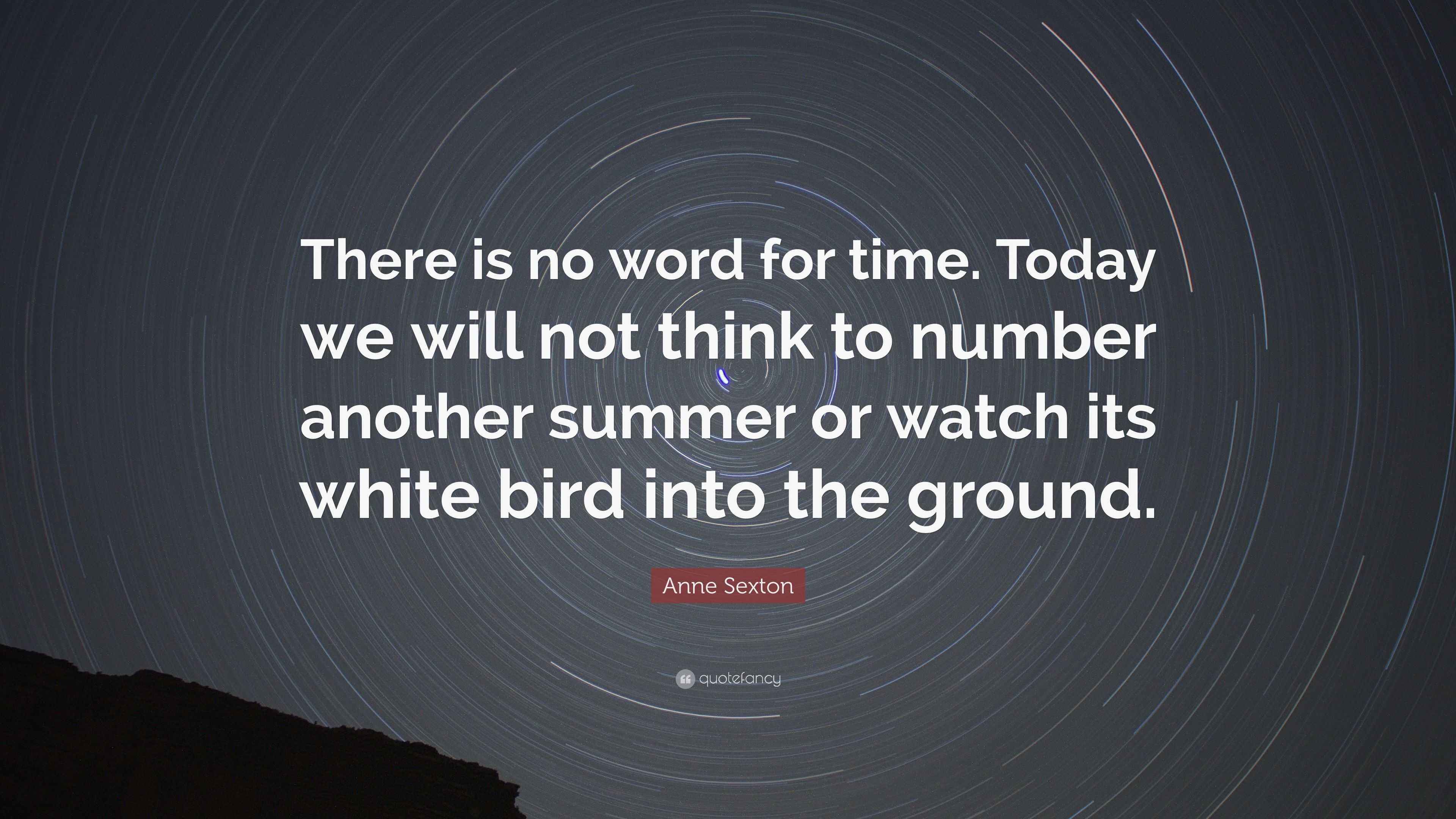 Anne Sexton Quote: “There is no word for time. Today we will not think ...