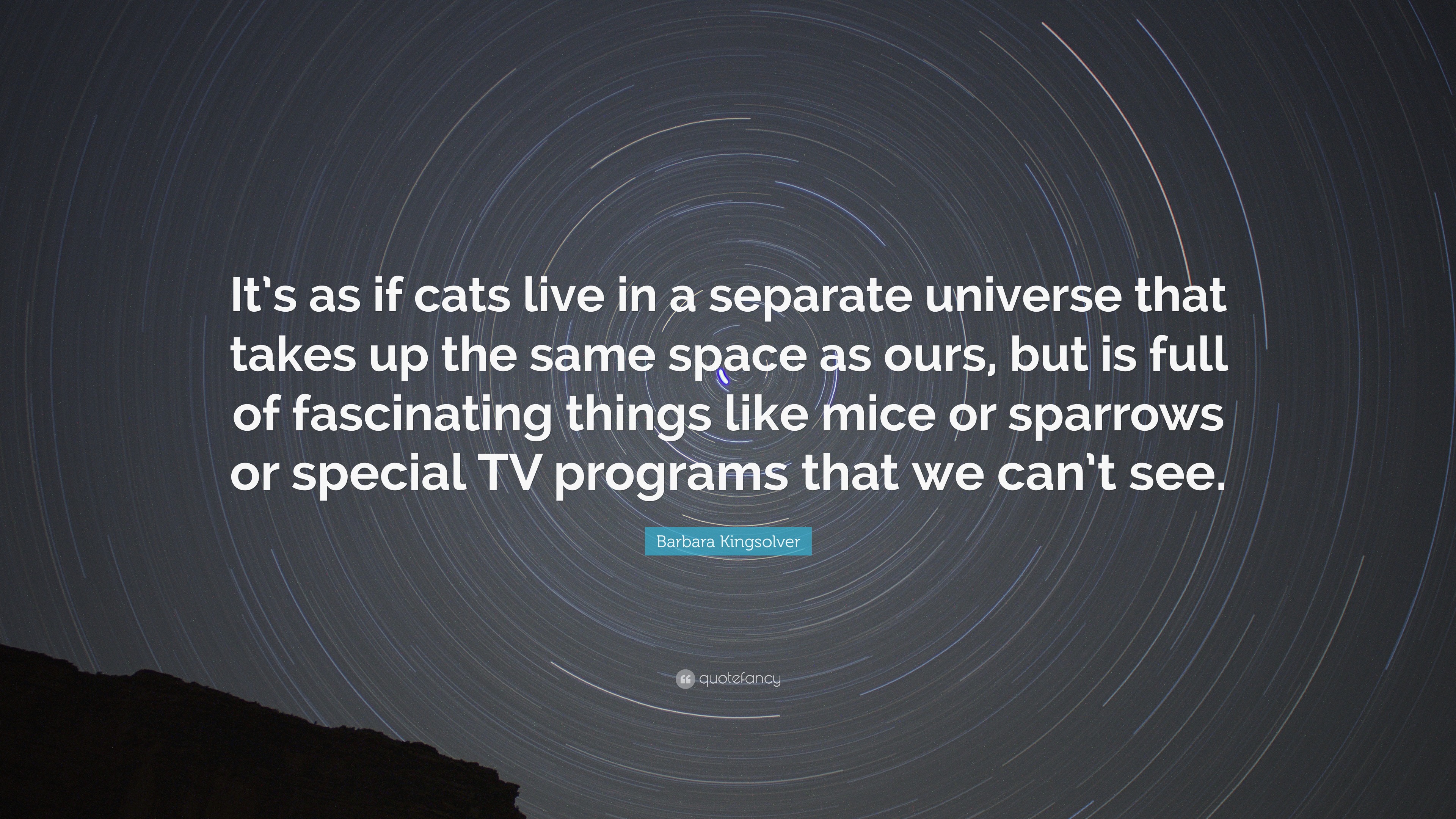 Barbara Kingsolver Quote: “It’s as if cats live in a separate universe ...