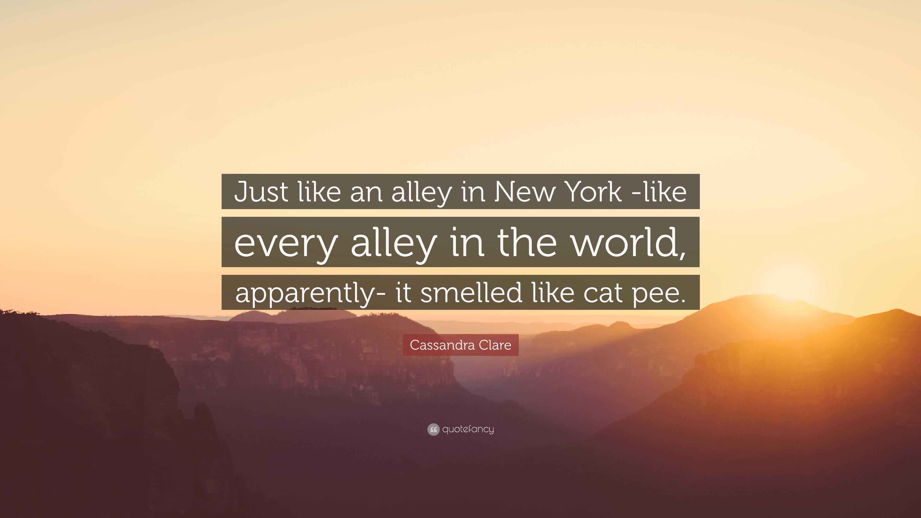 Cassandra Clare Quote: “Just like an alley in New York -like every ...