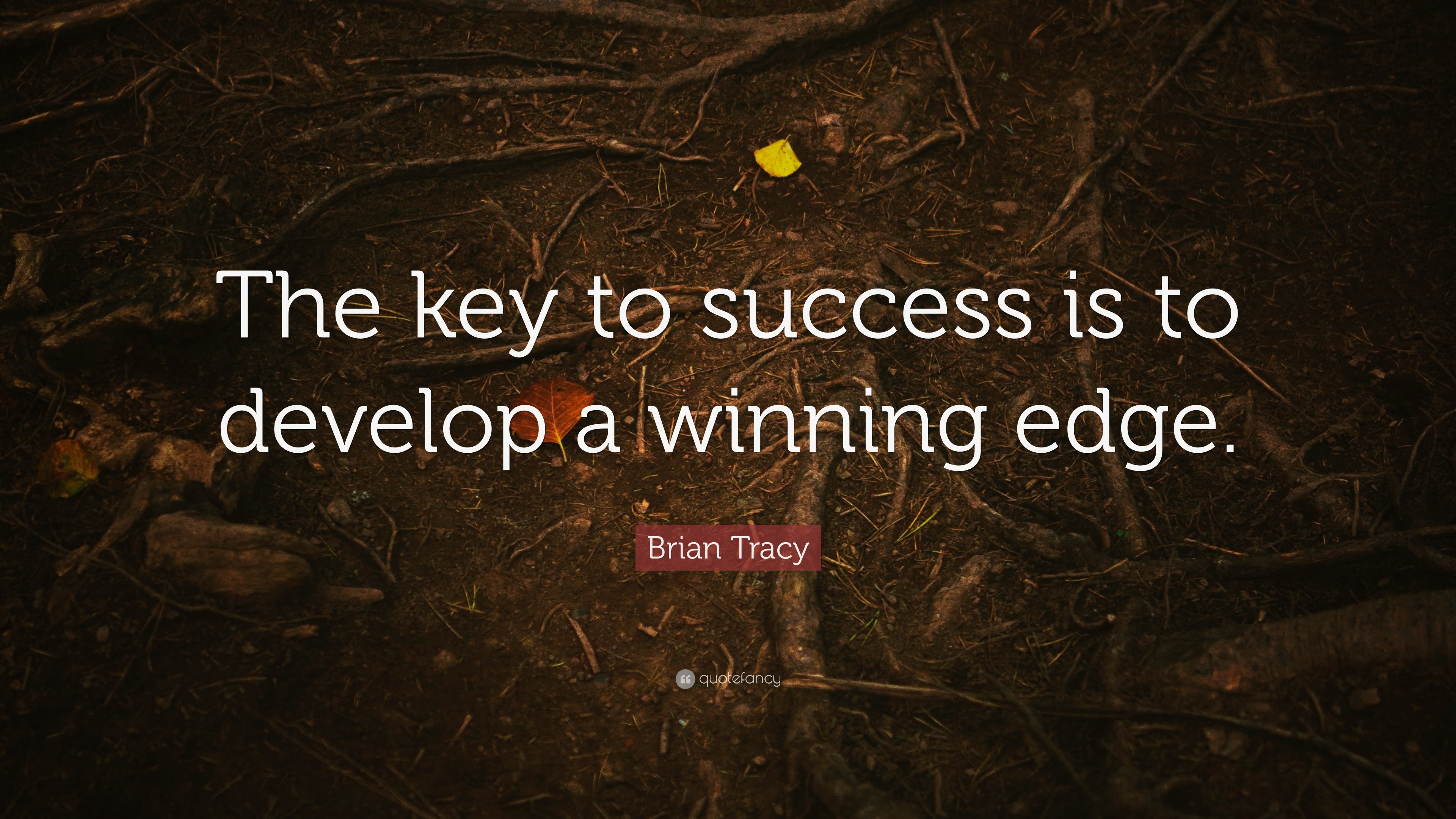 Brian Tracy Quote: “The key to success is to develop a winning edge.”
