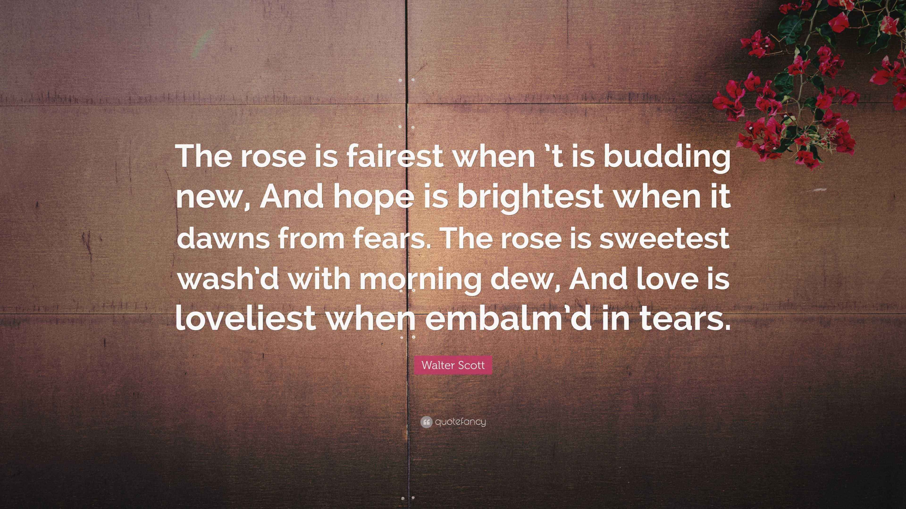 Walter Scott Quote: “The rose is fairest when ’t is budding new, And ...