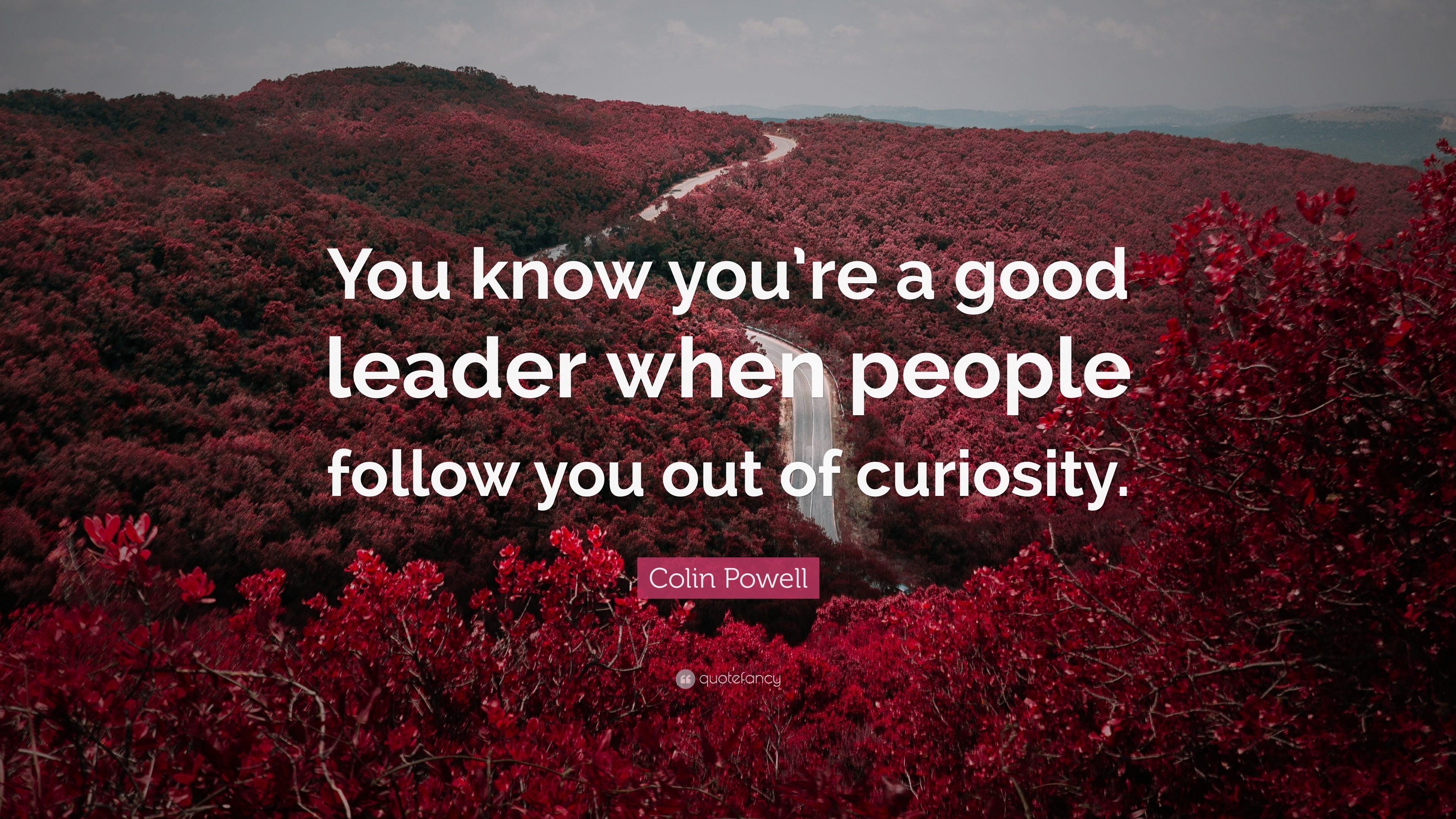Colin Powell Quote: “You know you’re a good leader when people follow ...
