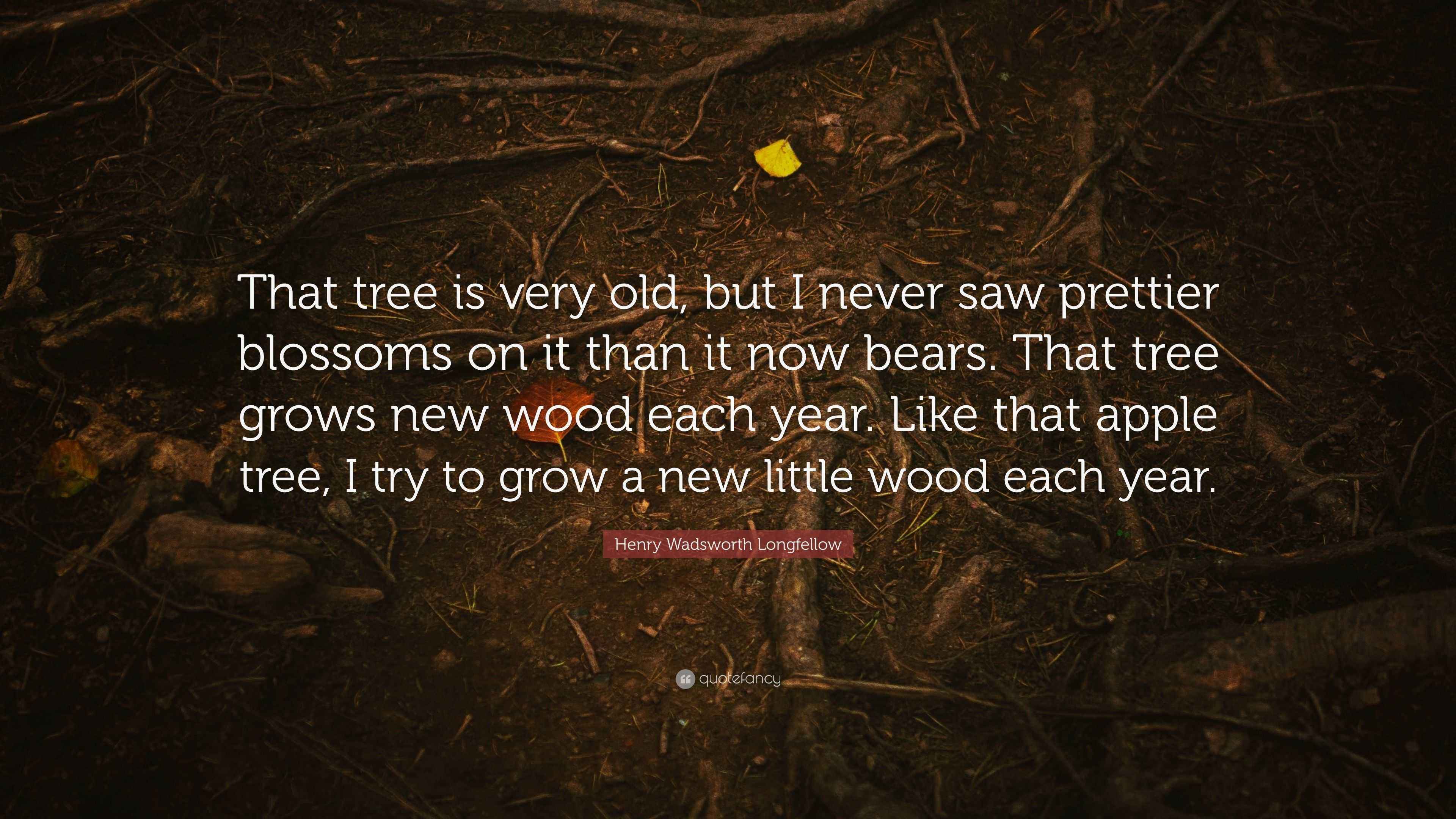 Henry Wadsworth Longfellow Quote: “That tree is very old, but I never ...
