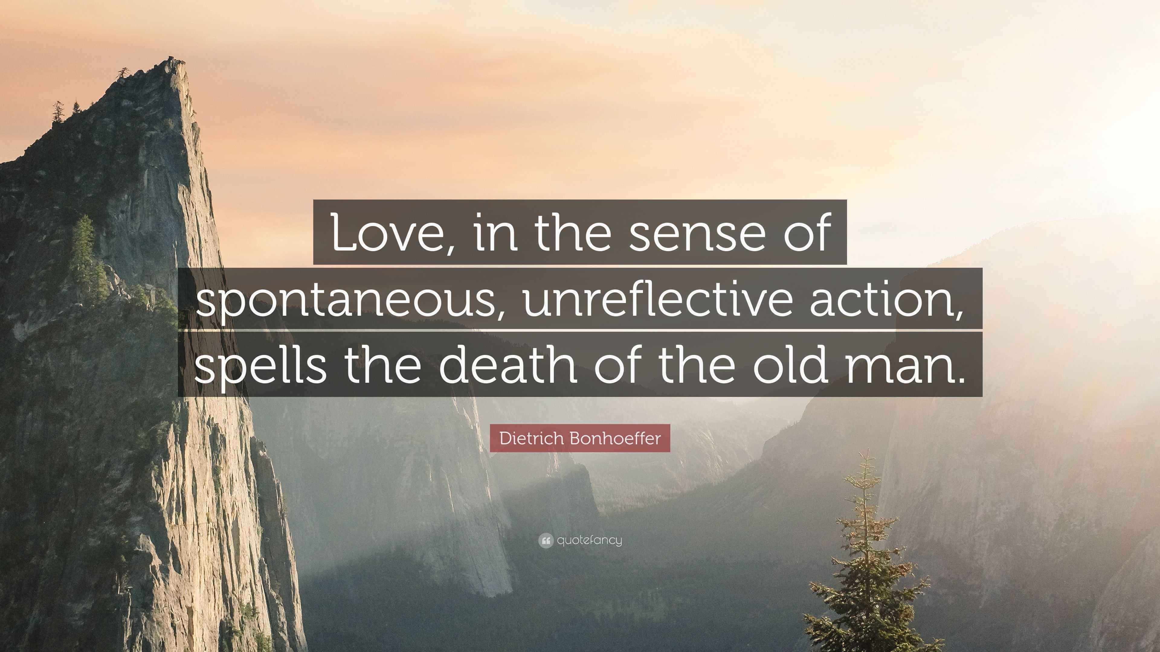 Dietrich Bonhoeffer Quote: “Love, in the sense of spontaneous ...