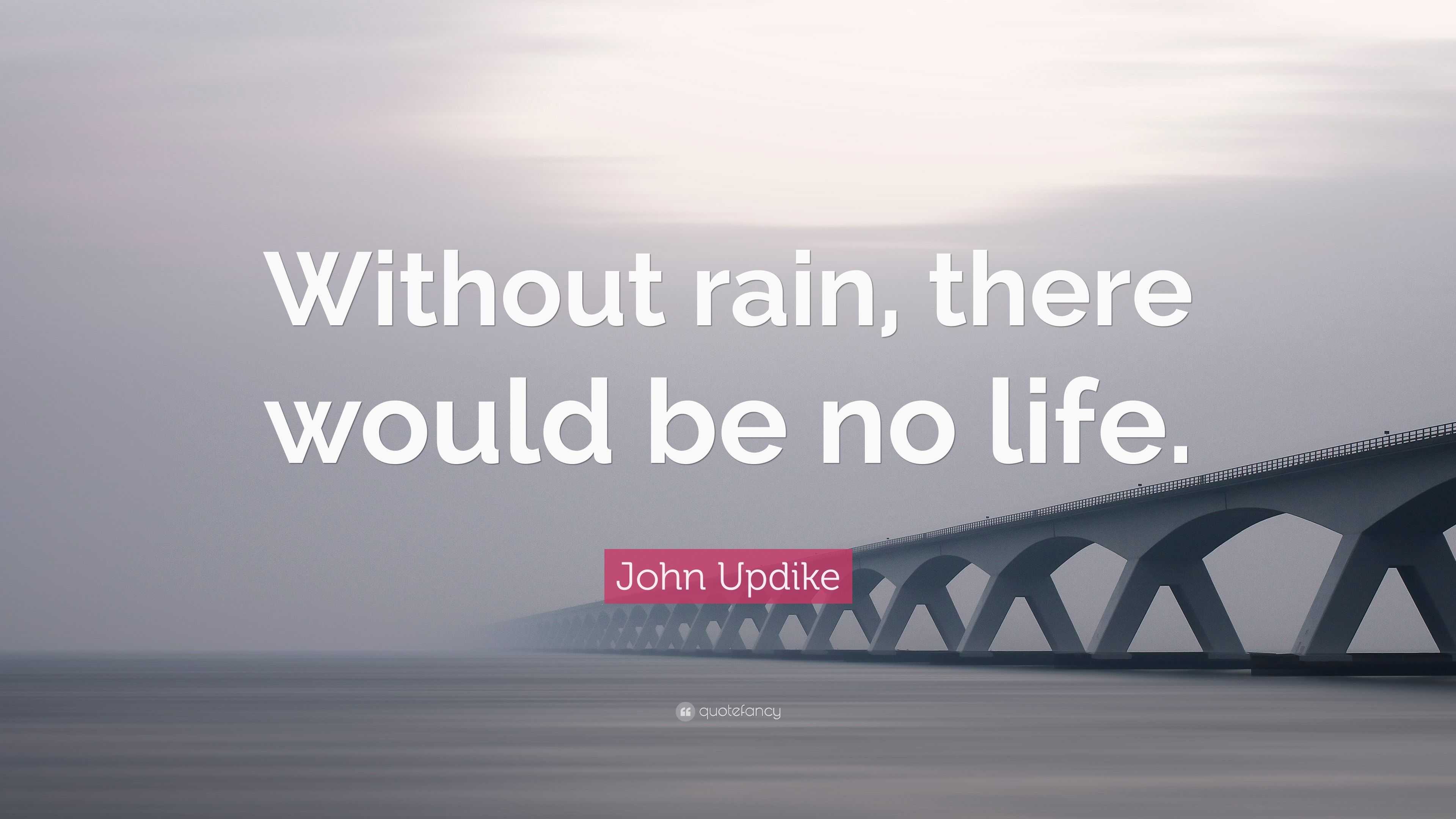John Updike Quote: “Without rain, there would be no life.”