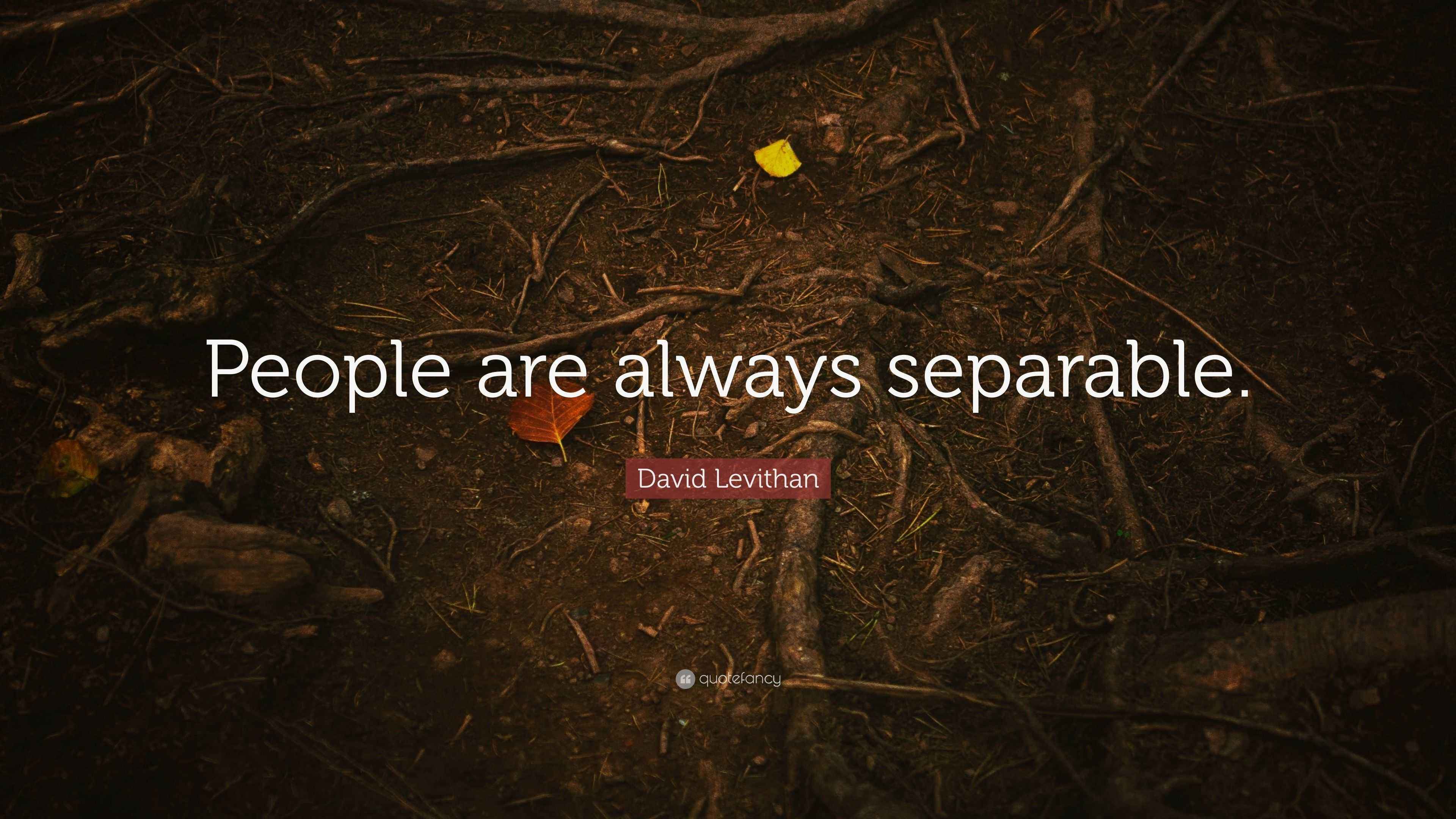 David Levithan Quote: “People are always separable.”