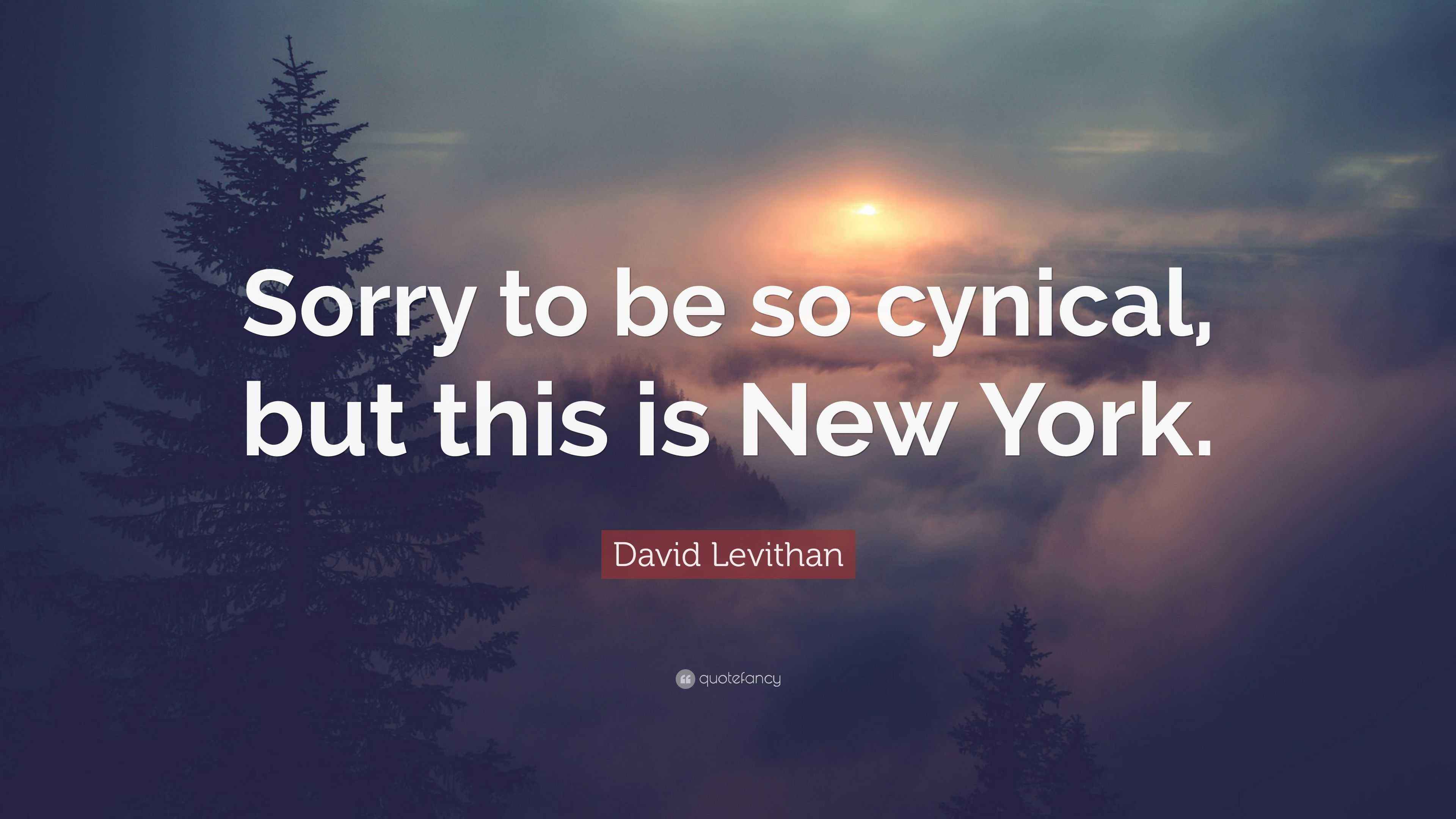 David Levithan Quote: “Sorry to be so cynical, but this is New York.”