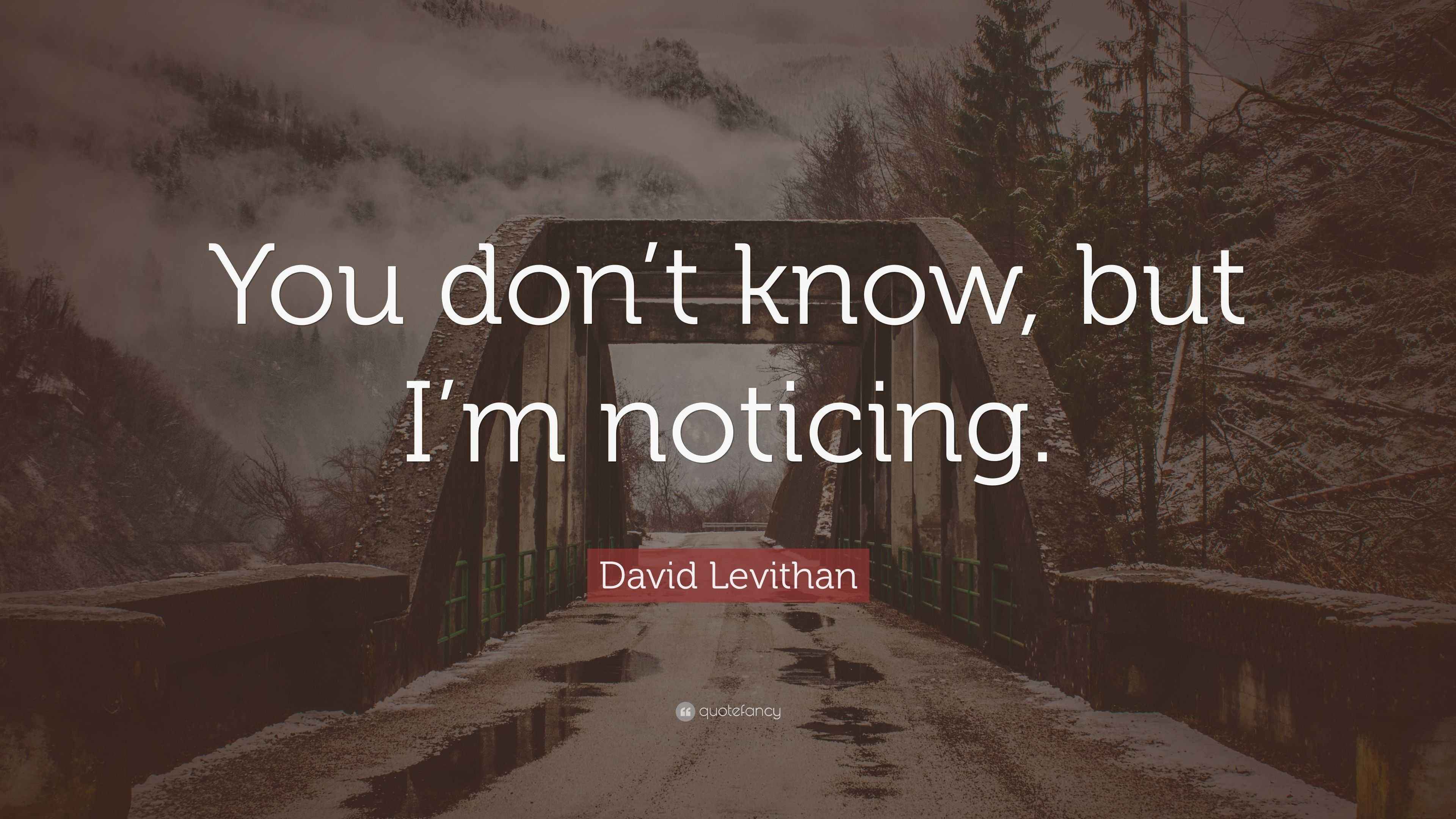David Levithan Quote: “You don’t know, but I’m noticing.”