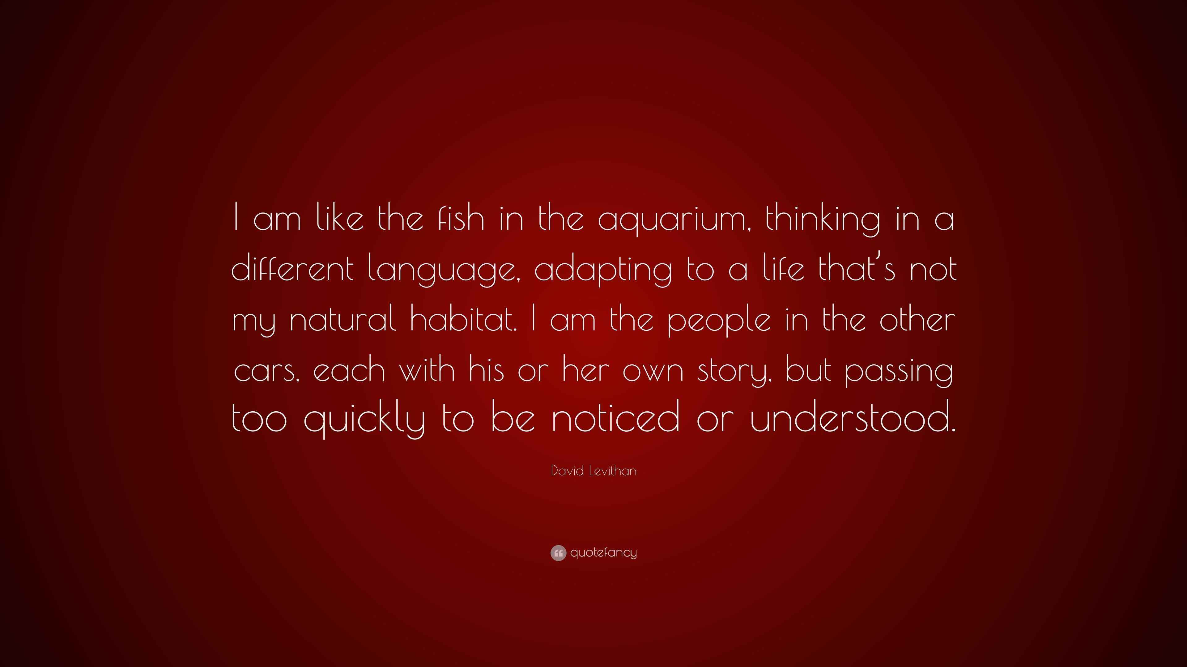 David Levithan Quote: “I am like the fish in the aquarium, thinking in ...