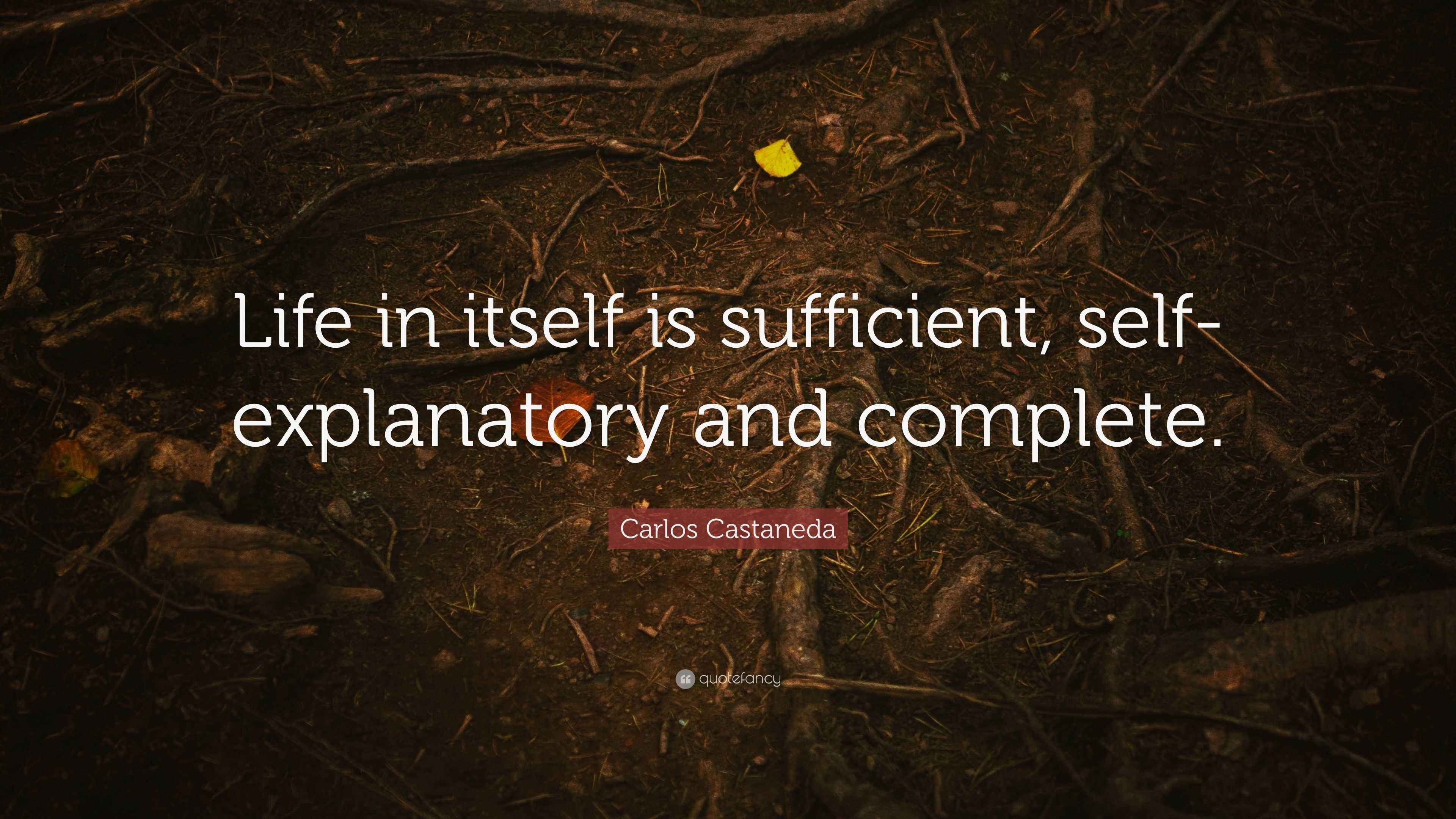 Carlos Castaneda Quote: “Life in itself is sufficient, self-explanatory ...
