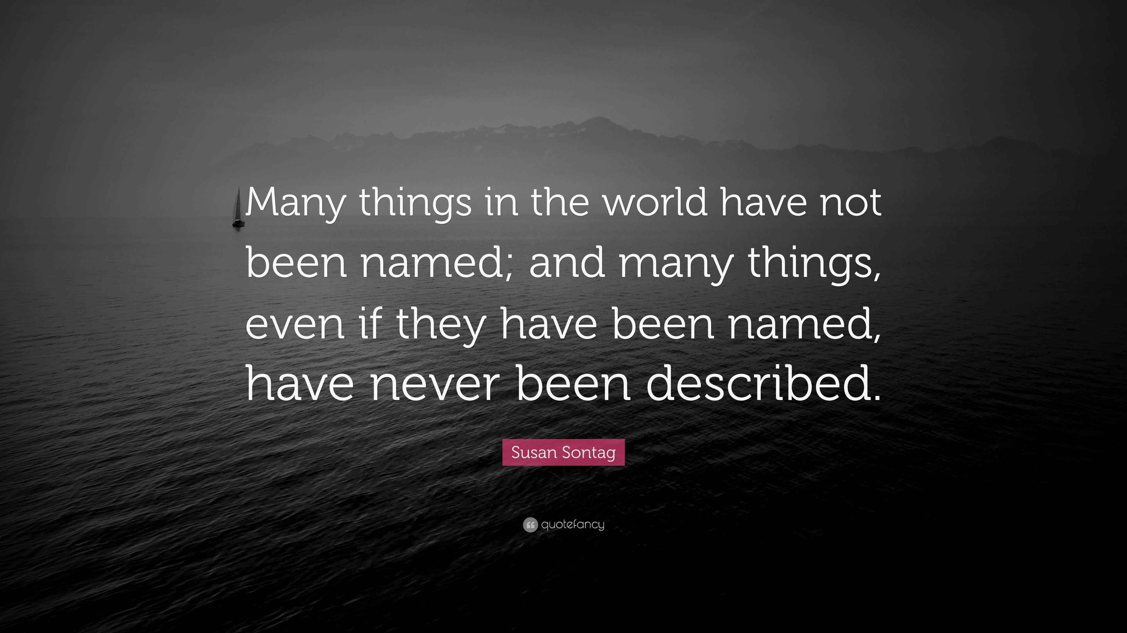 Susan Sontag Quote: “Many things in the world have not been named; and ...