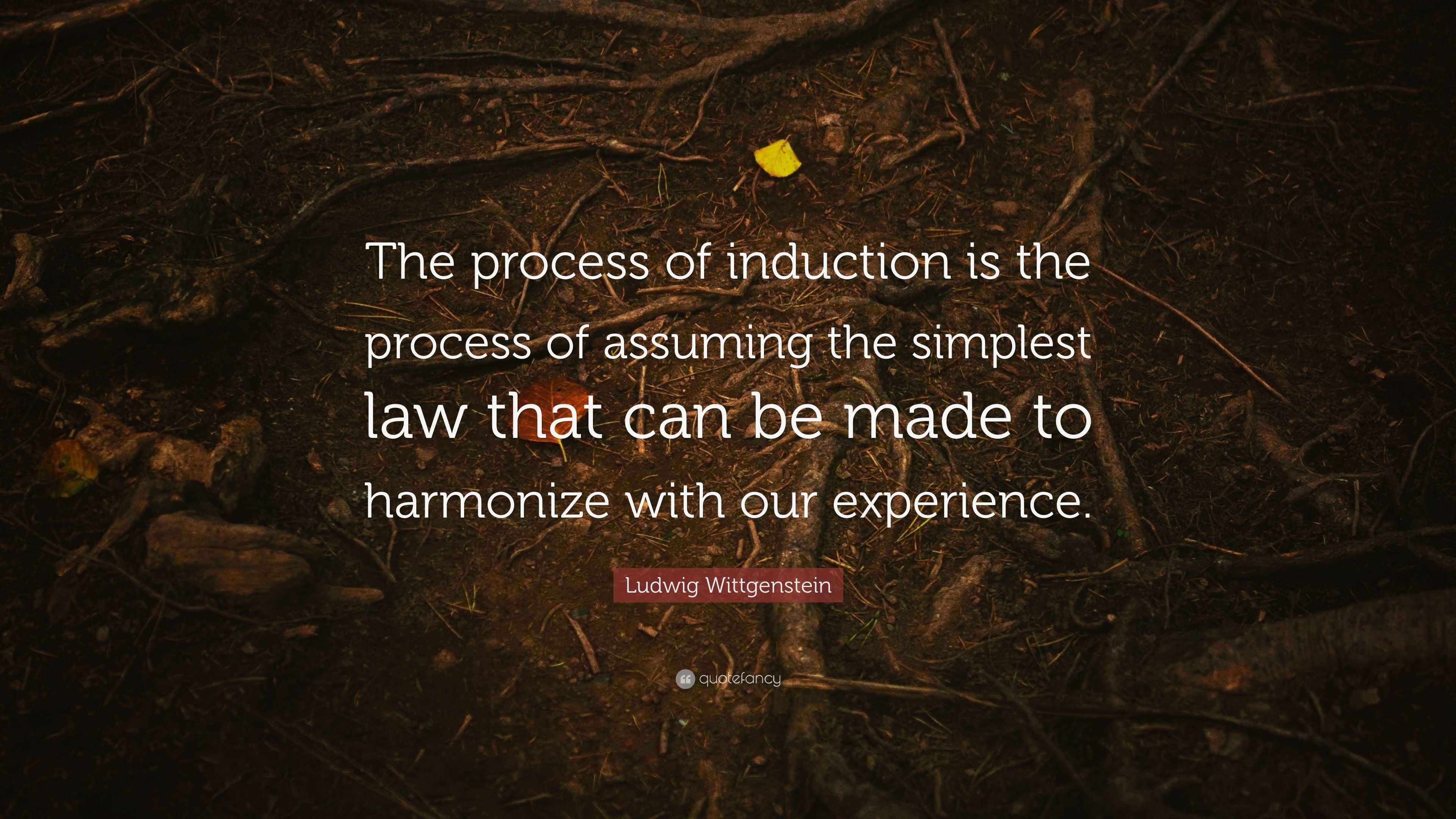 Ludwig Wittgenstein Quote: “The process of induction is the process of ...