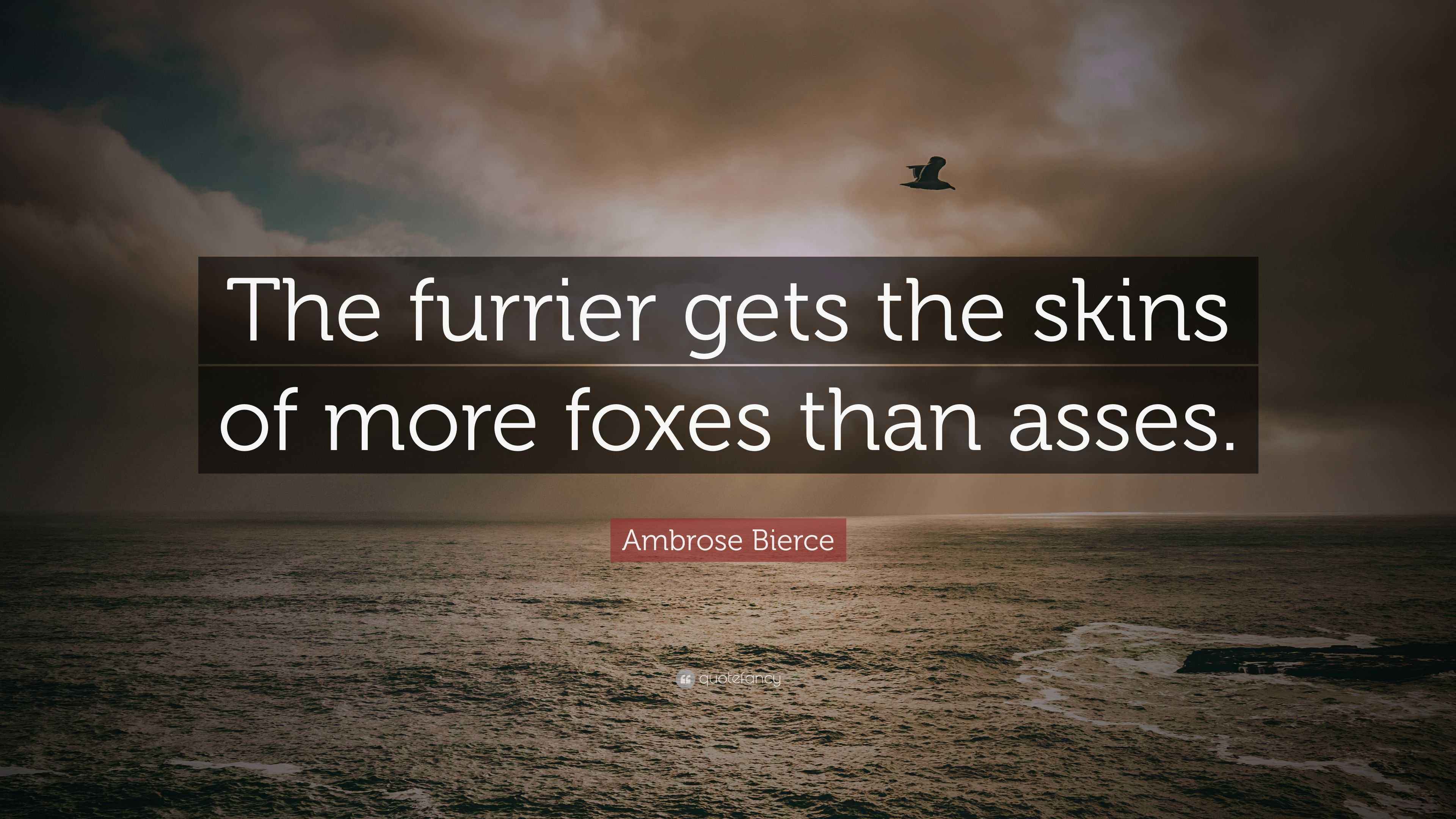 Ambrose Bierce Quote: “The furrier gets the skins of more foxes than ...