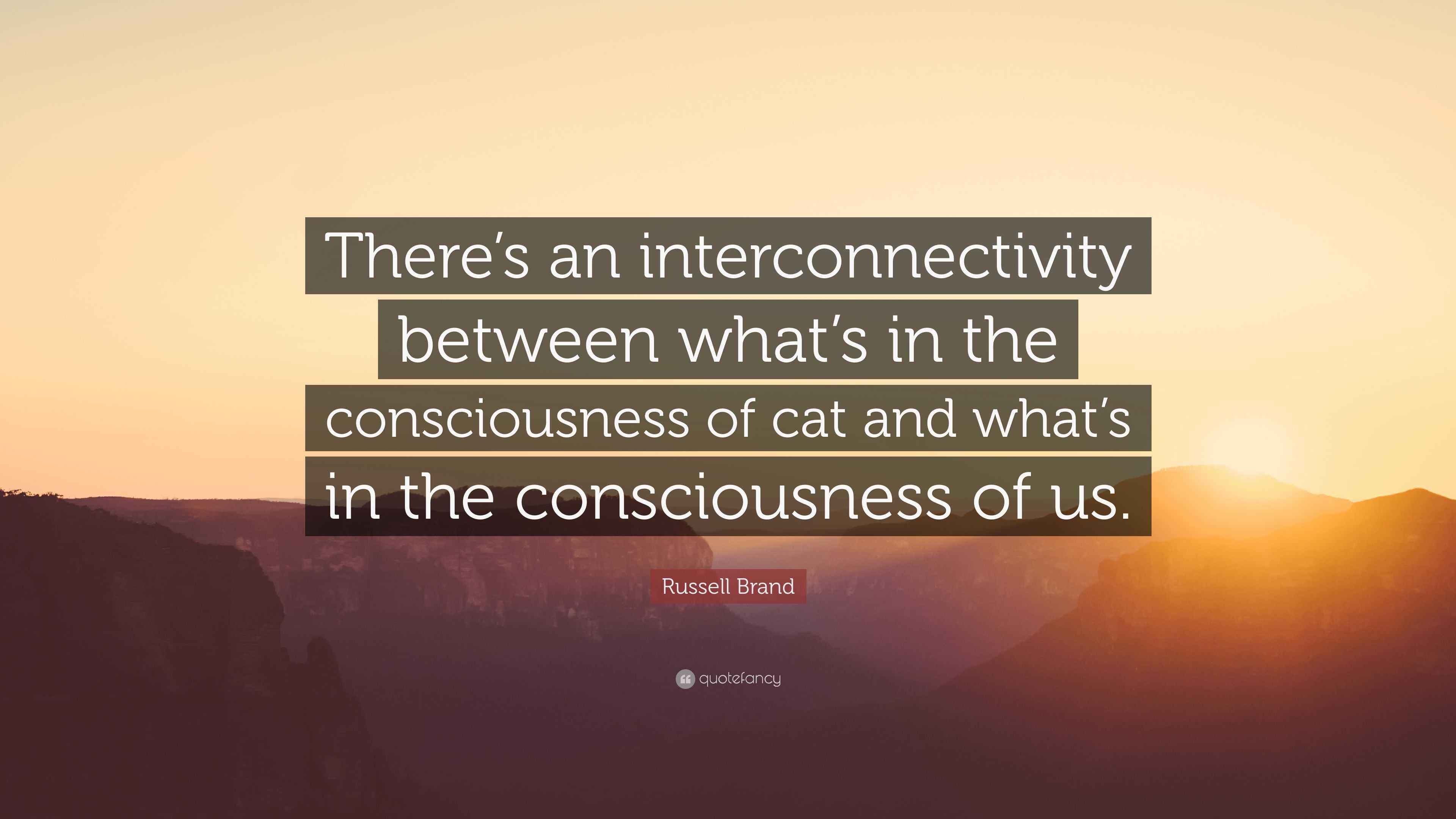 Russell Brand Quote: “There’s an interconnectivity between what’s in ...