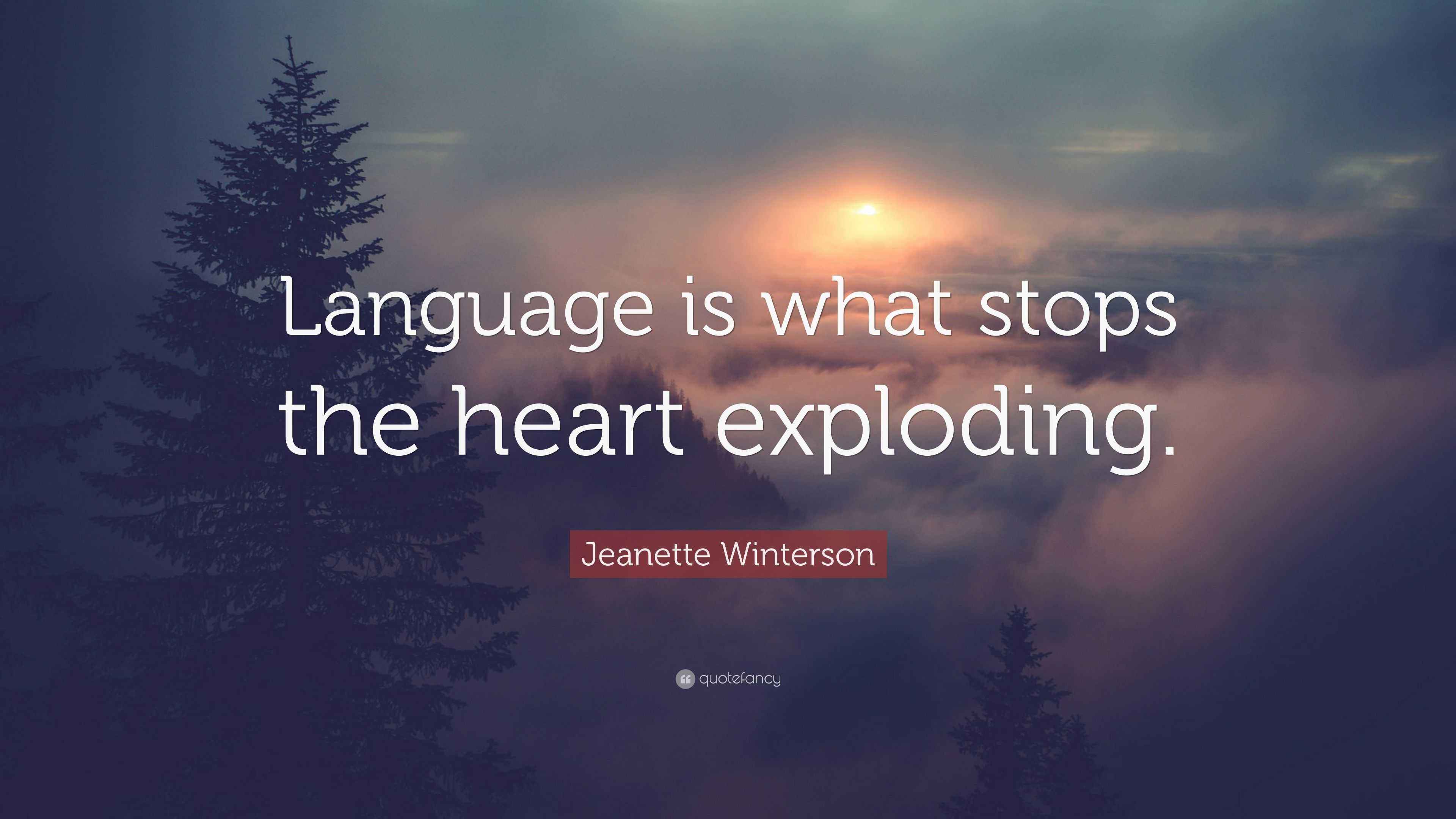 Jeanette Winterson Quote: “Language is what stops the heart exploding.”