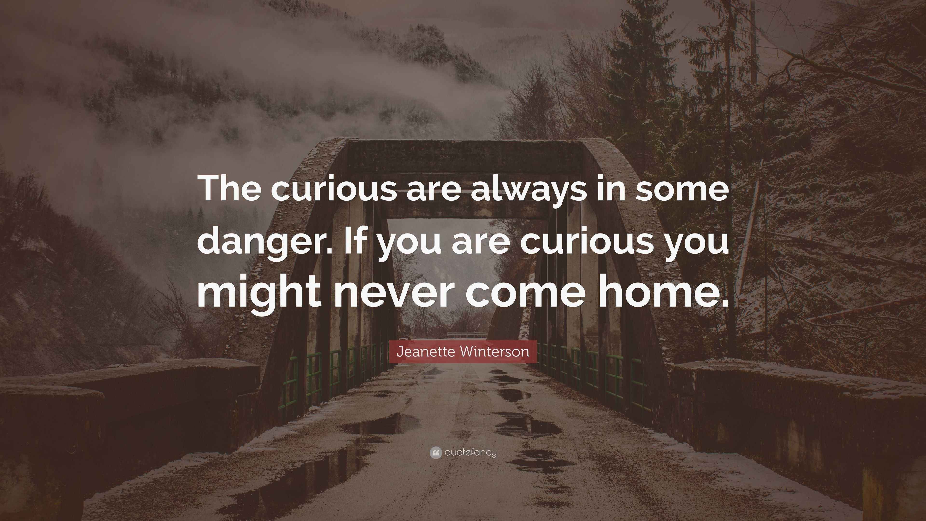 Jeanette Winterson Quote: “The curious are always in some danger. If ...