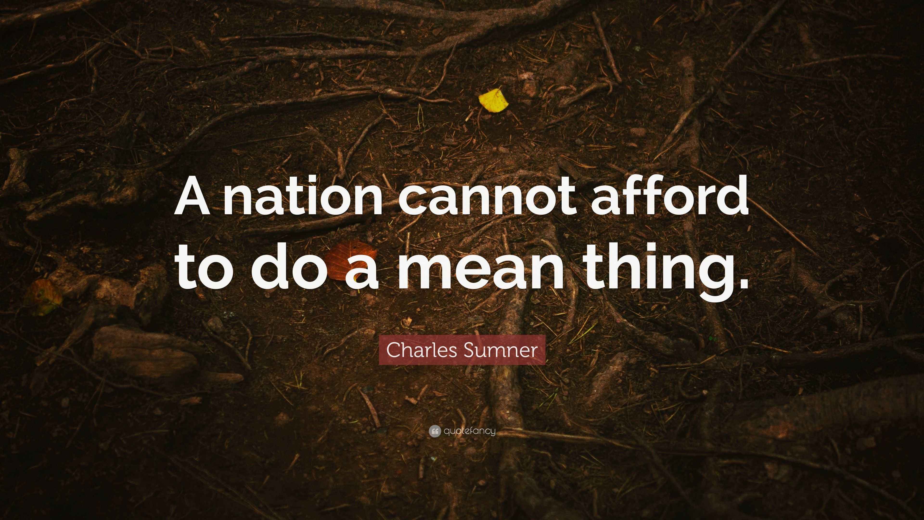 Charles Sumner Quote: “A nation cannot afford to do a mean thing.”