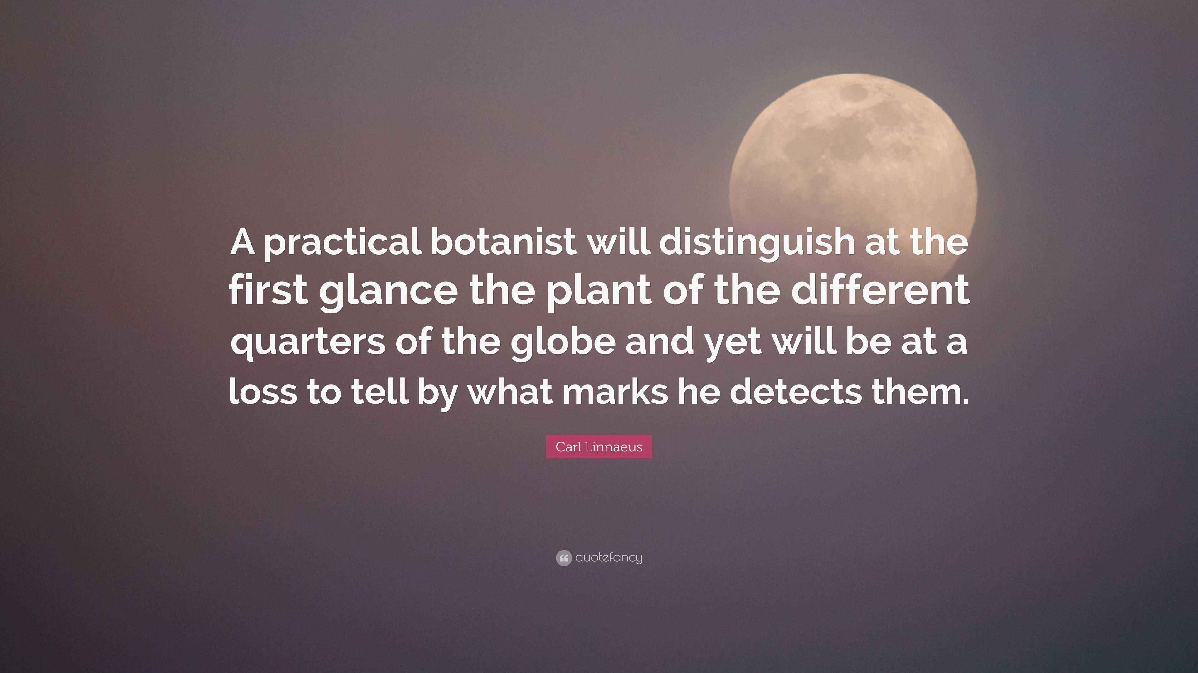 Carl Linnaeus Quote: “A practical botanist will distinguish at the ...