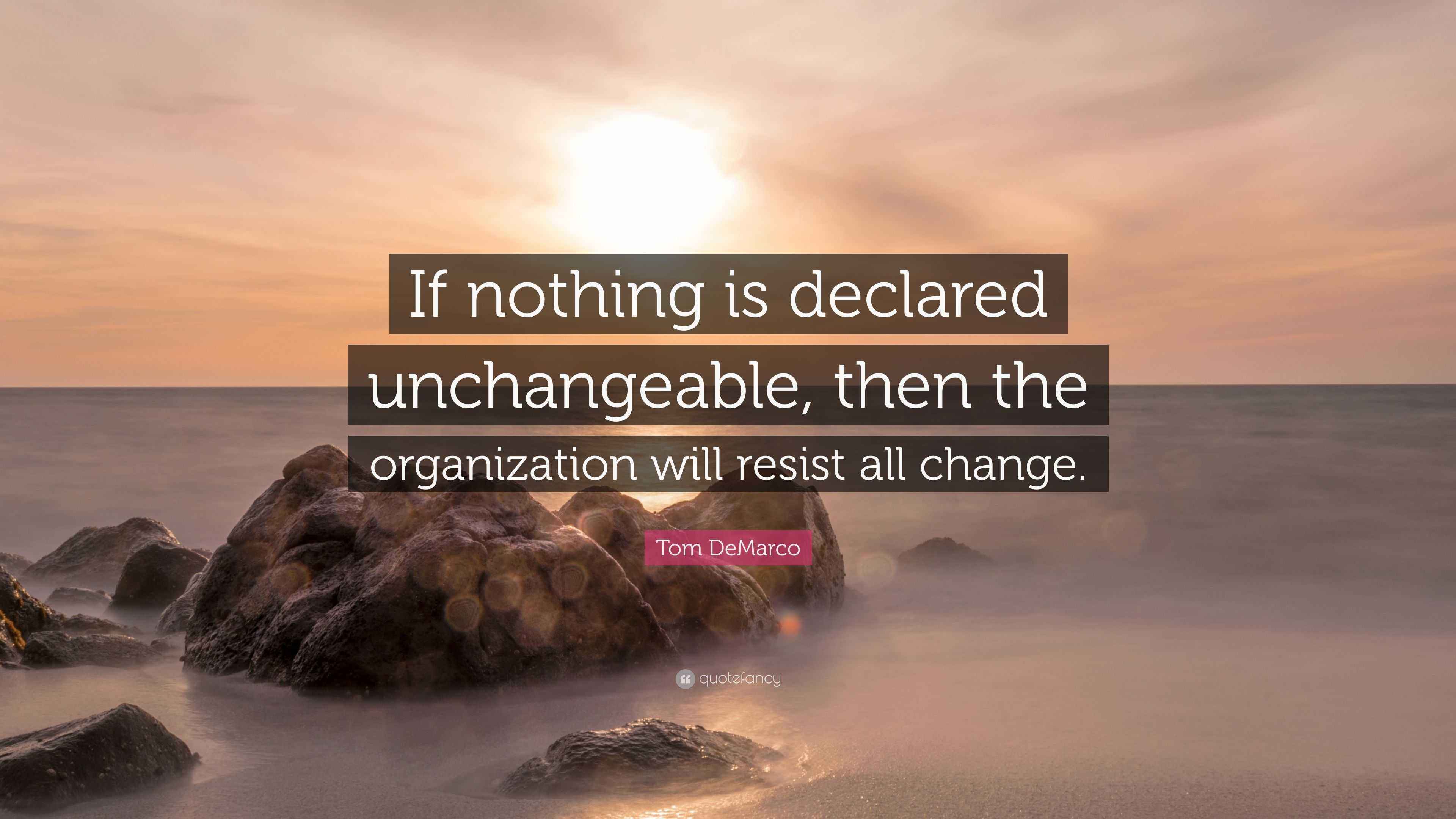 Tom DeMarco Quote: “If nothing is declared unchangeable, then the ...