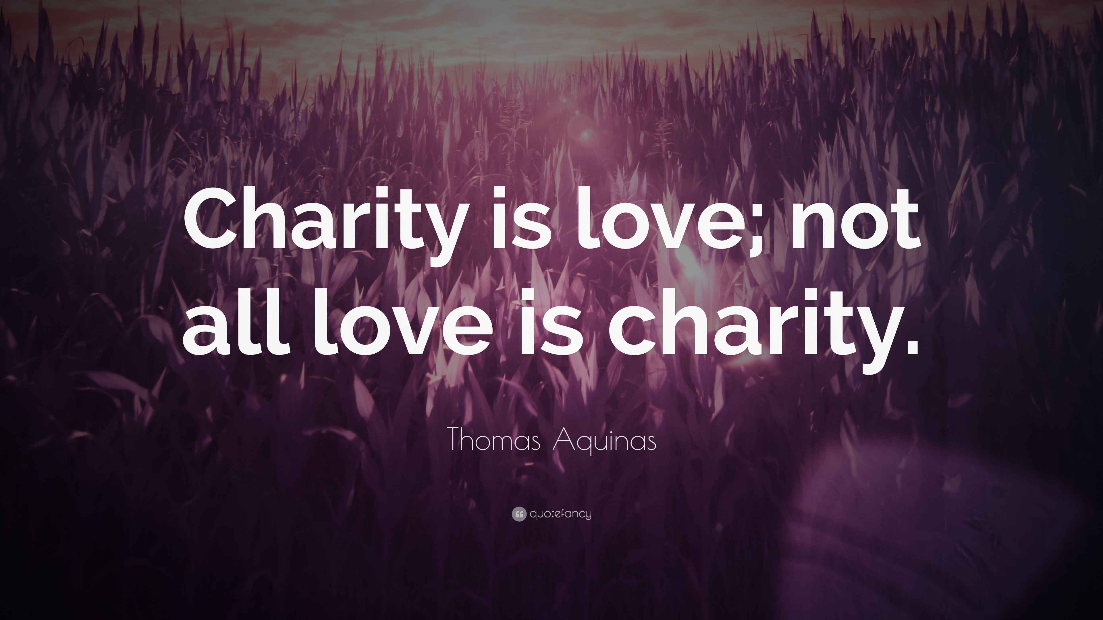 Thomas Aquinas Quote: “Charity is love; not all love is charity.”