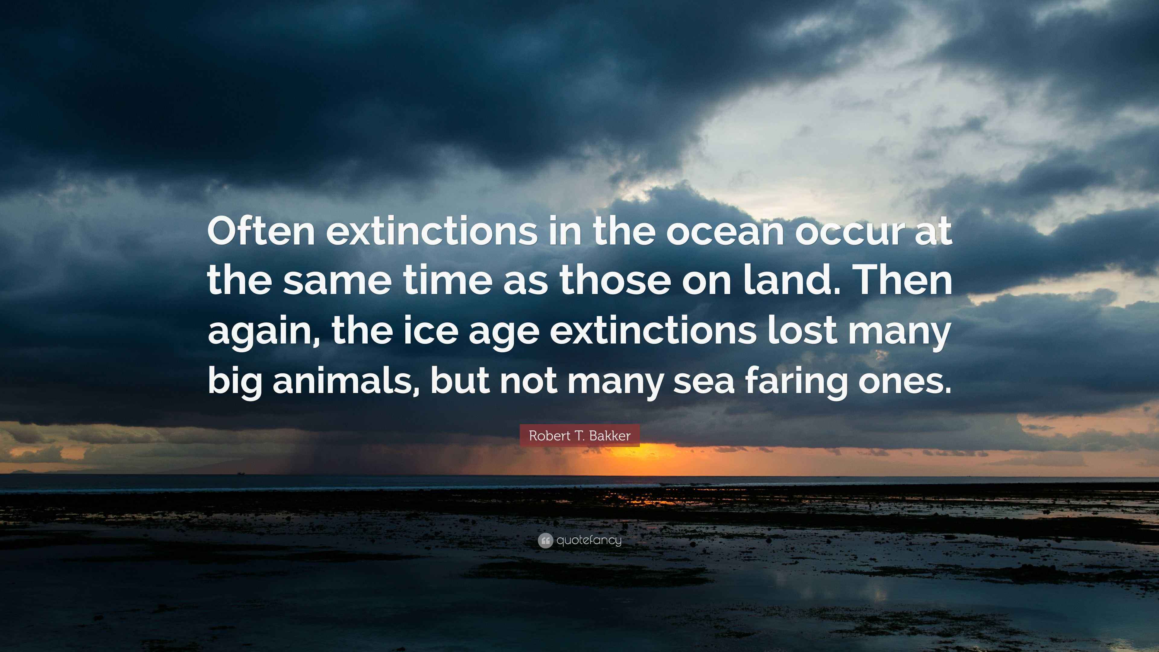 Robert T. Bakker Quote: “Often extinctions in the ocean occur at the ...