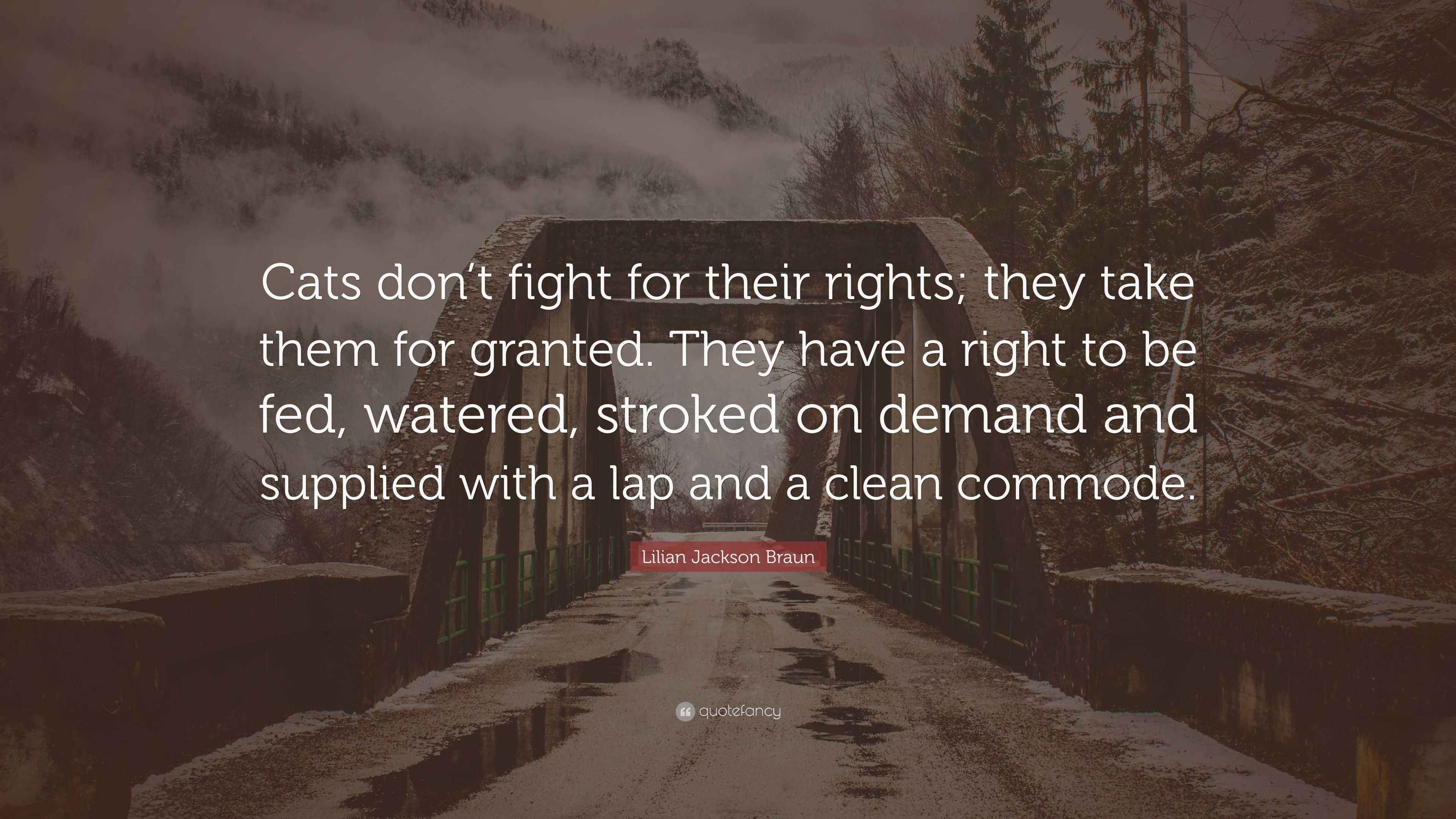 Lilian Jackson Braun Quote: “Cats don’t fight for their rights; they ...