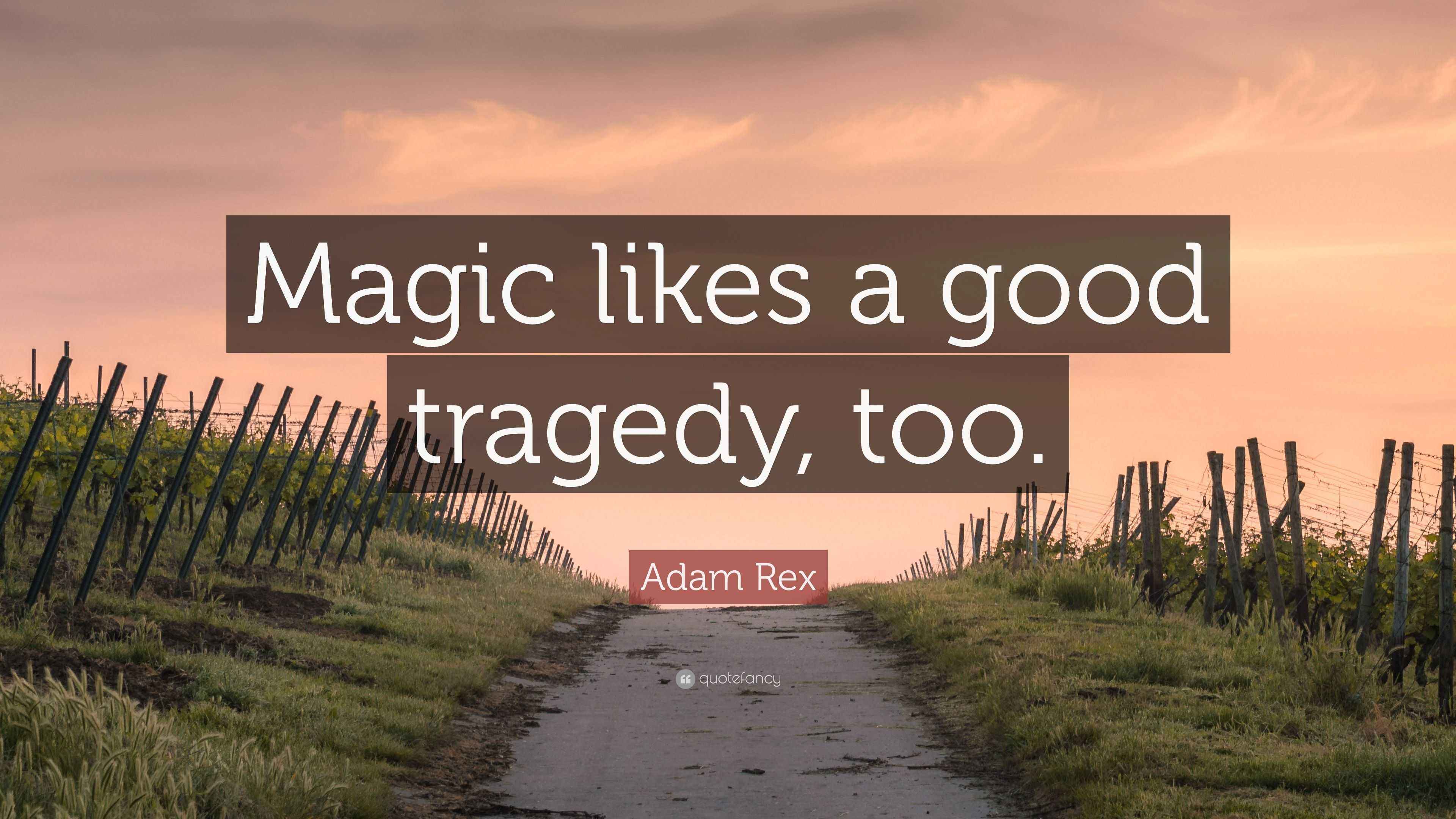 Adam Rex Quote: “Magic likes a good tragedy, too.”