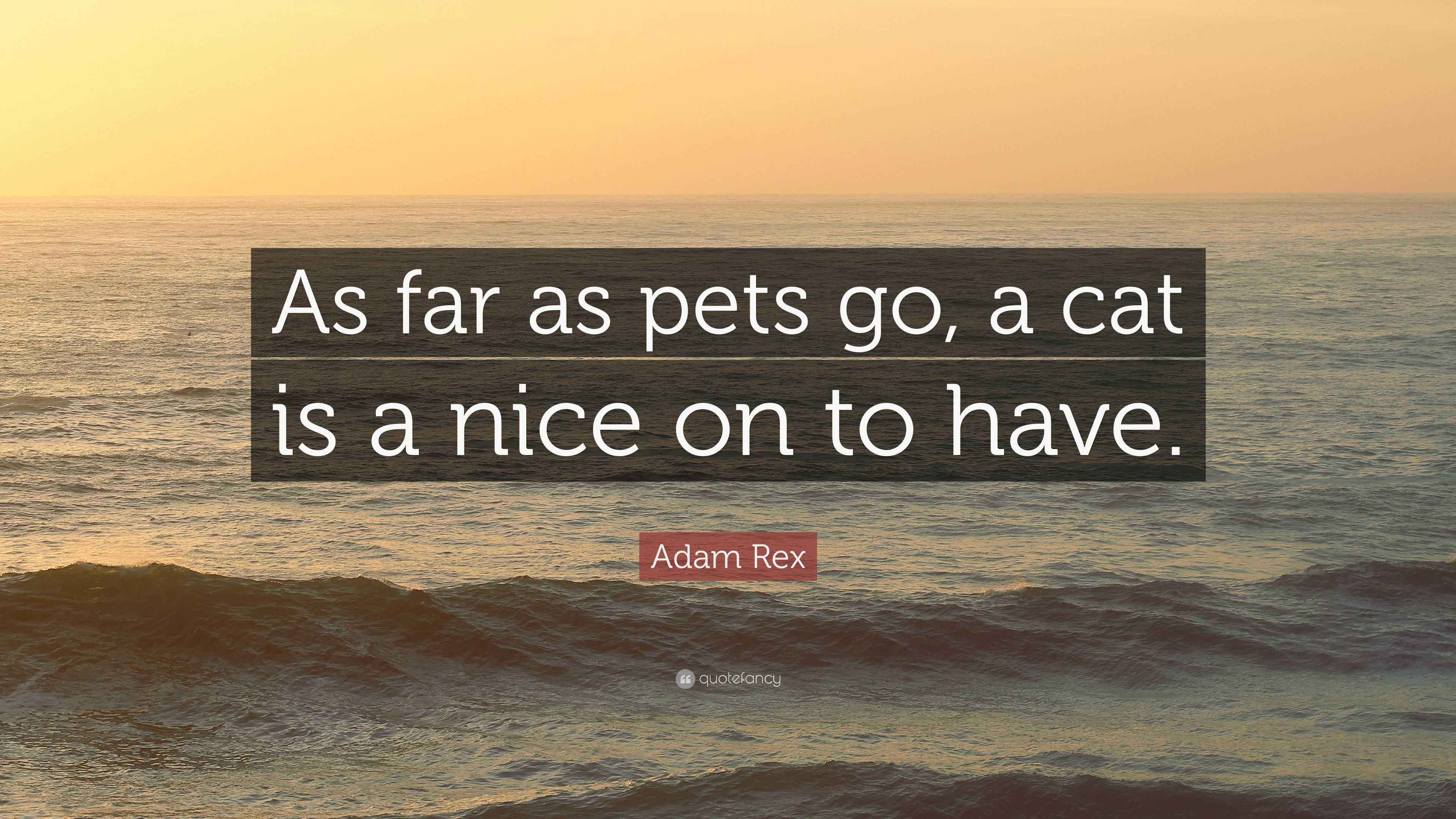 Adam Rex Quote: “As far as pets go, a cat is a nice on to have.”