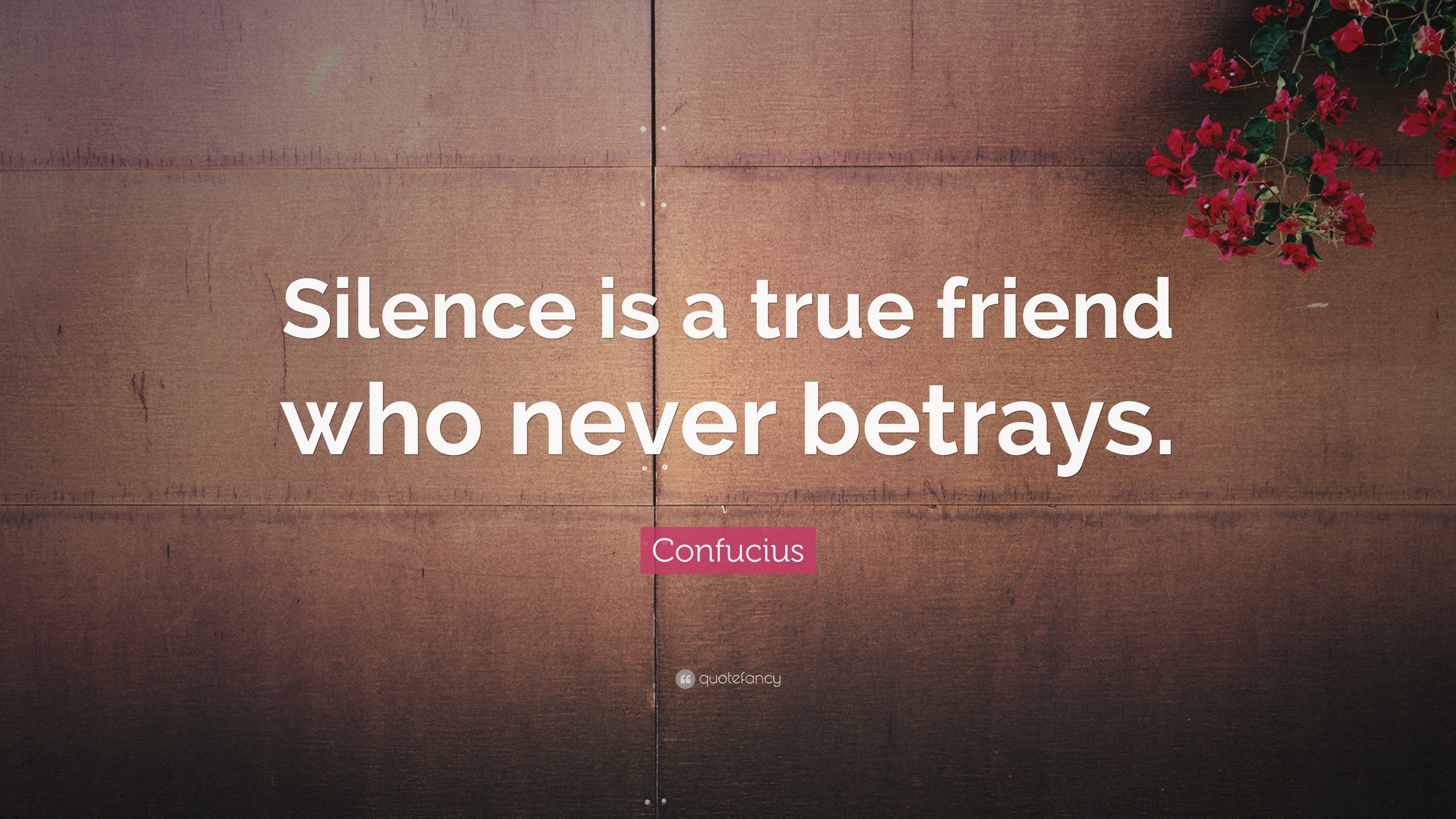 Confucius Quote: “Silence is a true friend who never betrays.”