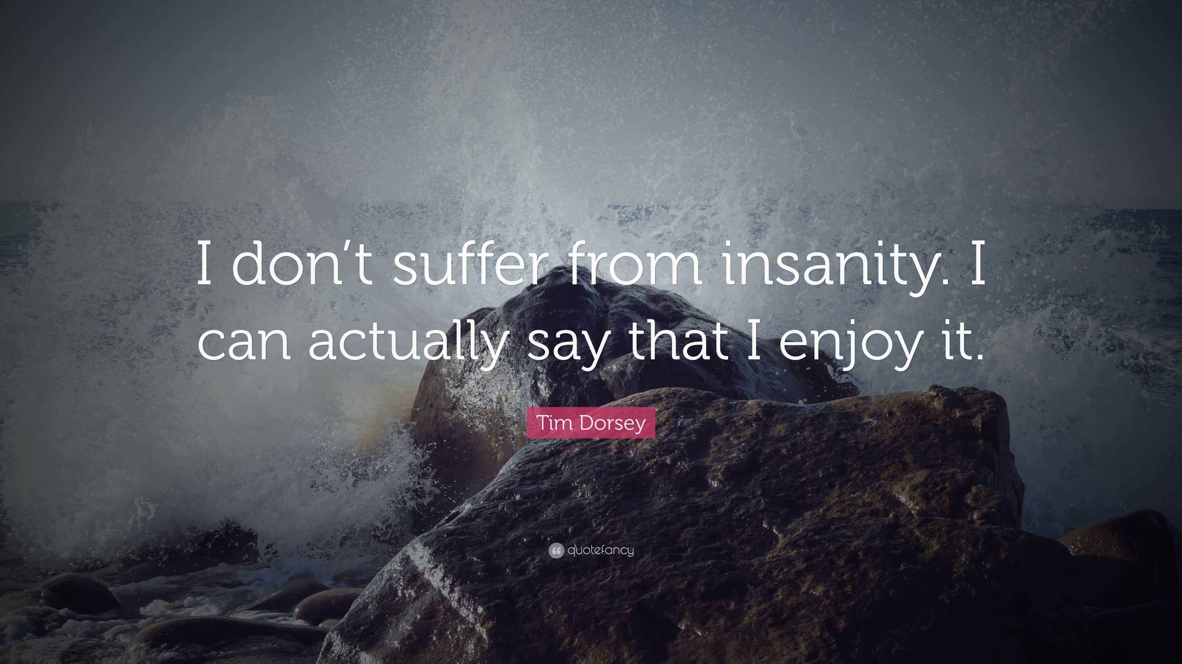 Tim Dorsey Quote: “I don’t suffer from insanity. I can actually say ...