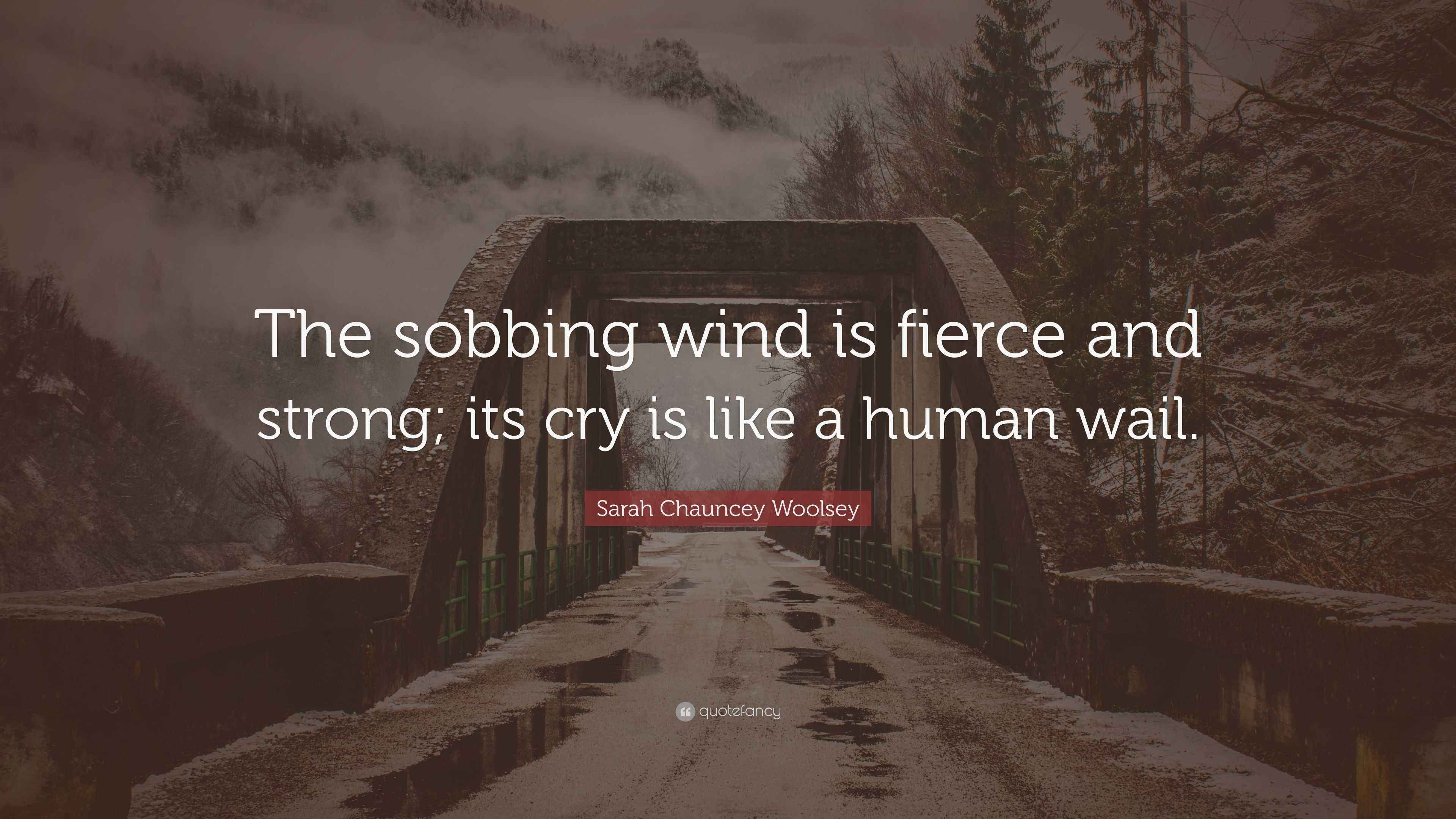 Sarah Chauncey Woolsey Quote: “The sobbing wind is fierce and strong ...