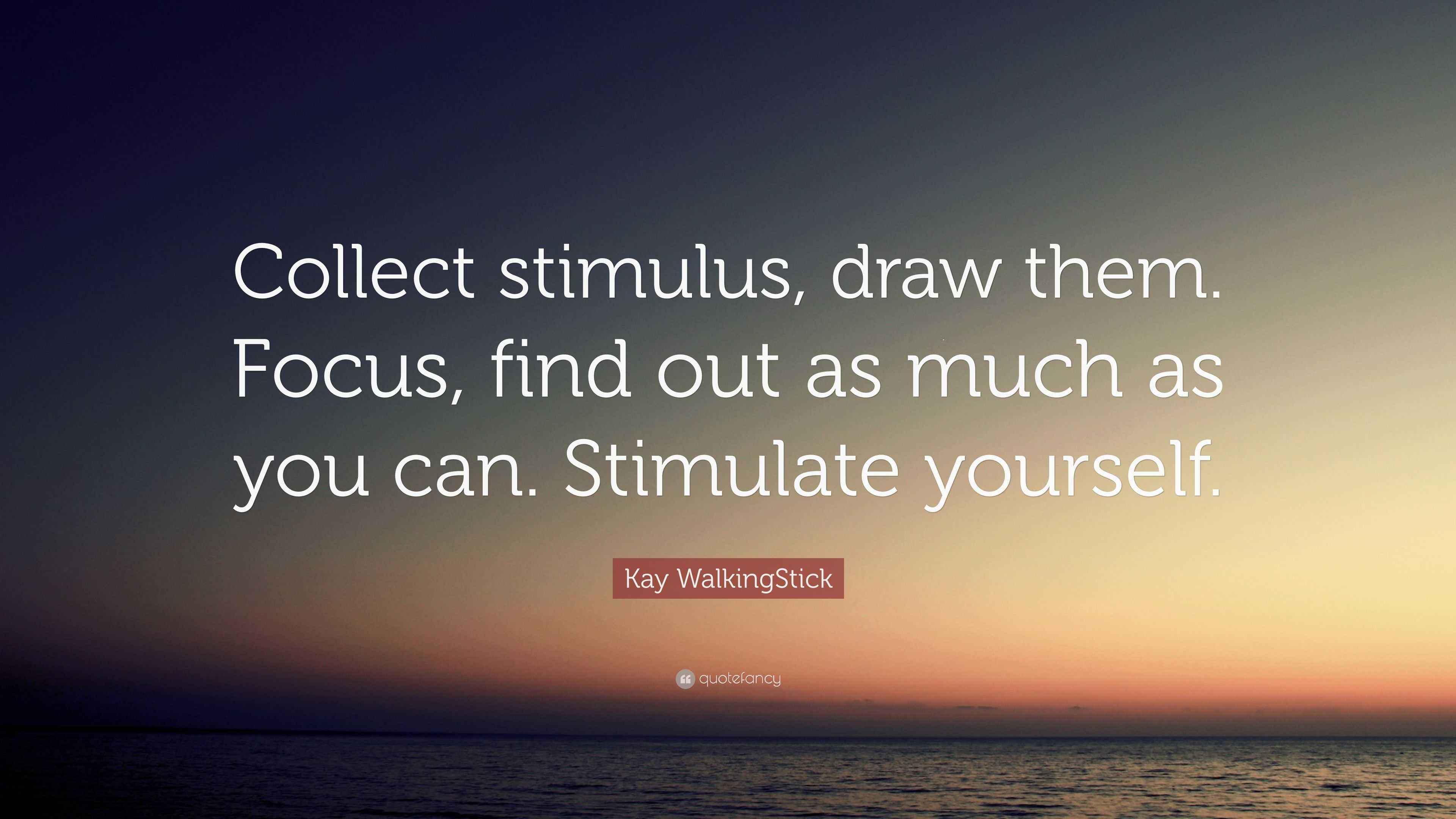 Kay WalkingStick Quote: “Collect stimulus, draw them. Focus, find out ...