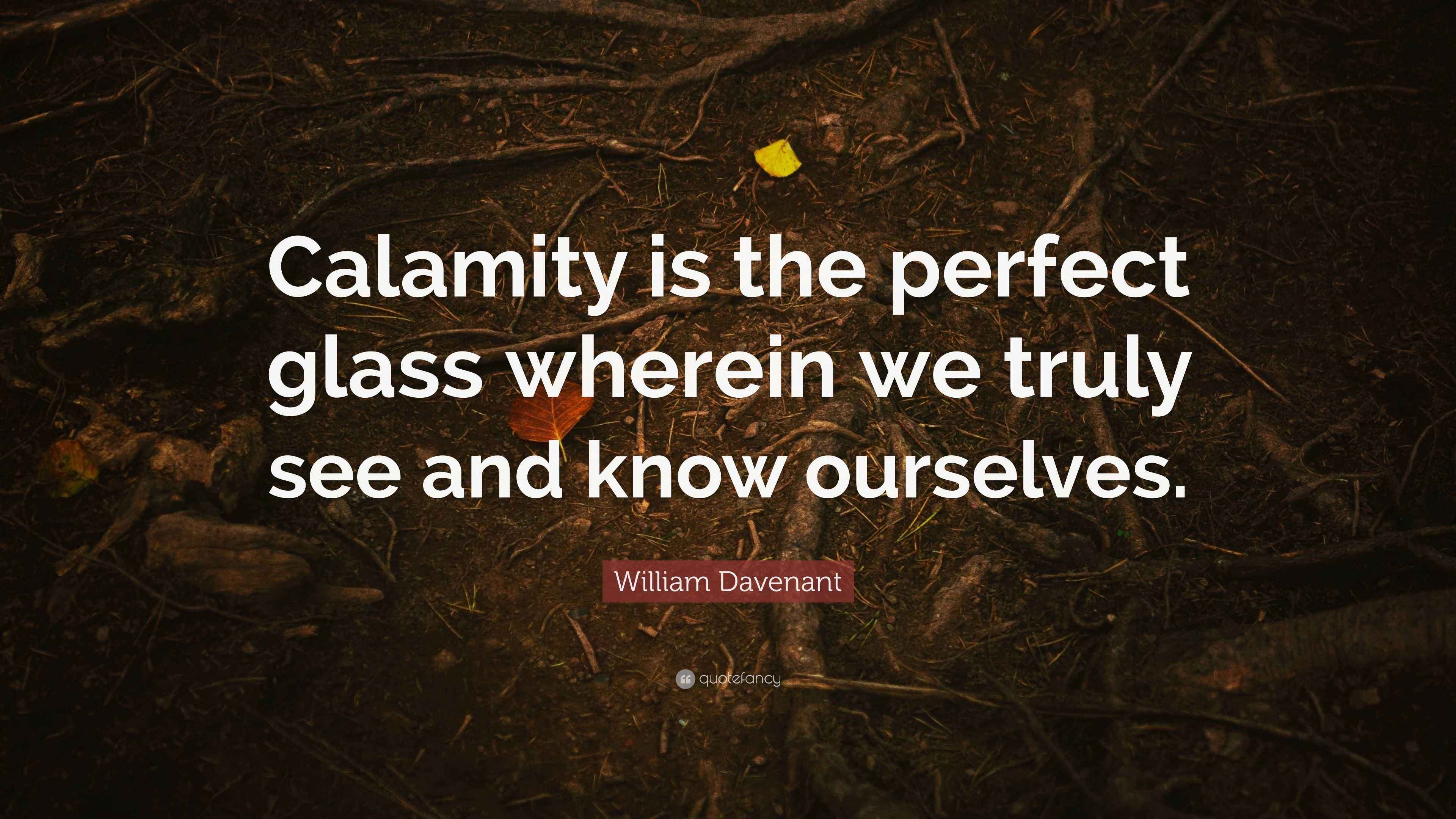 William Davenant Quote: “Calamity is the perfect glass wherein we truly ...