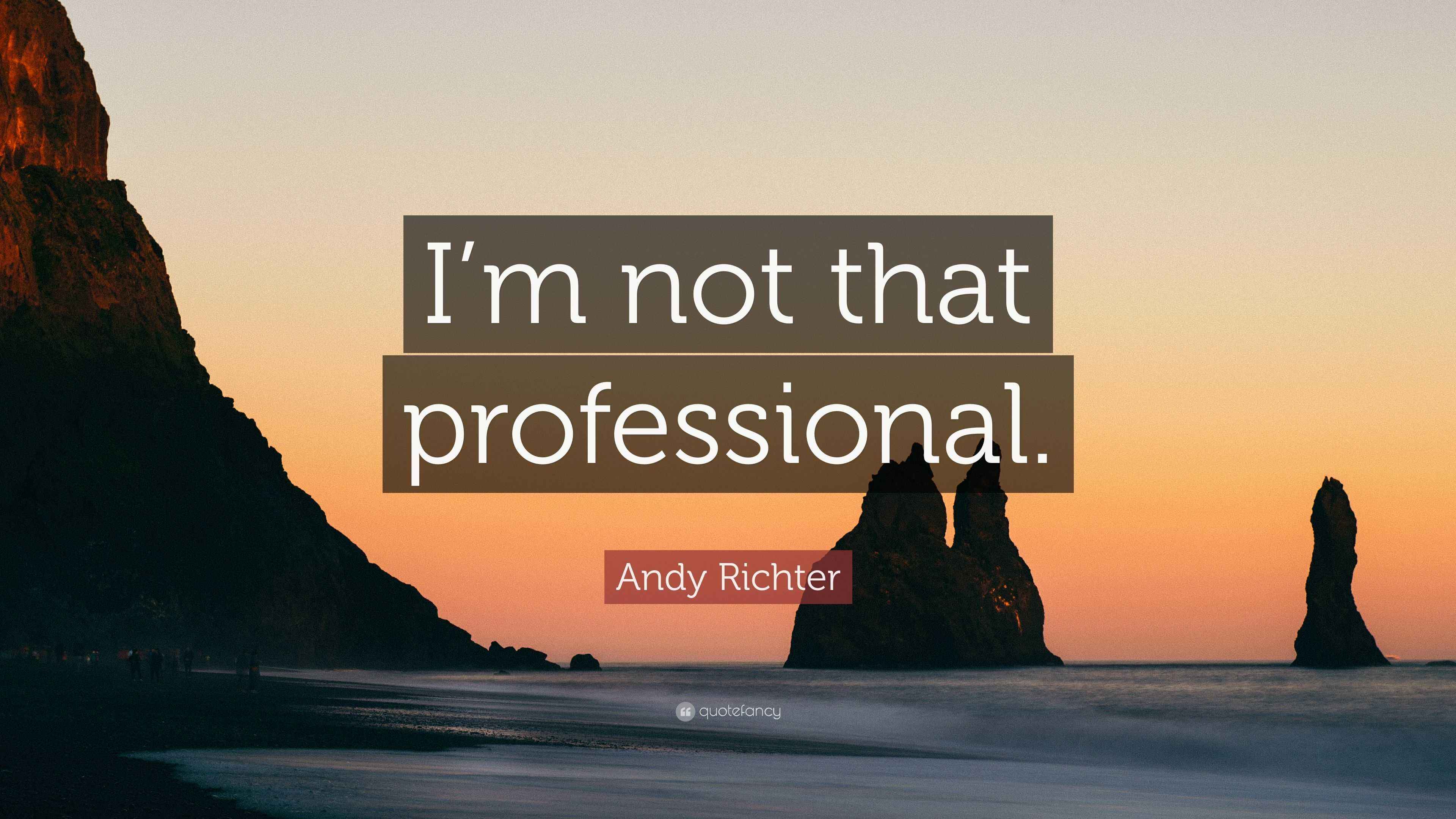 Andy Richter Quote: “I’m not that professional.”