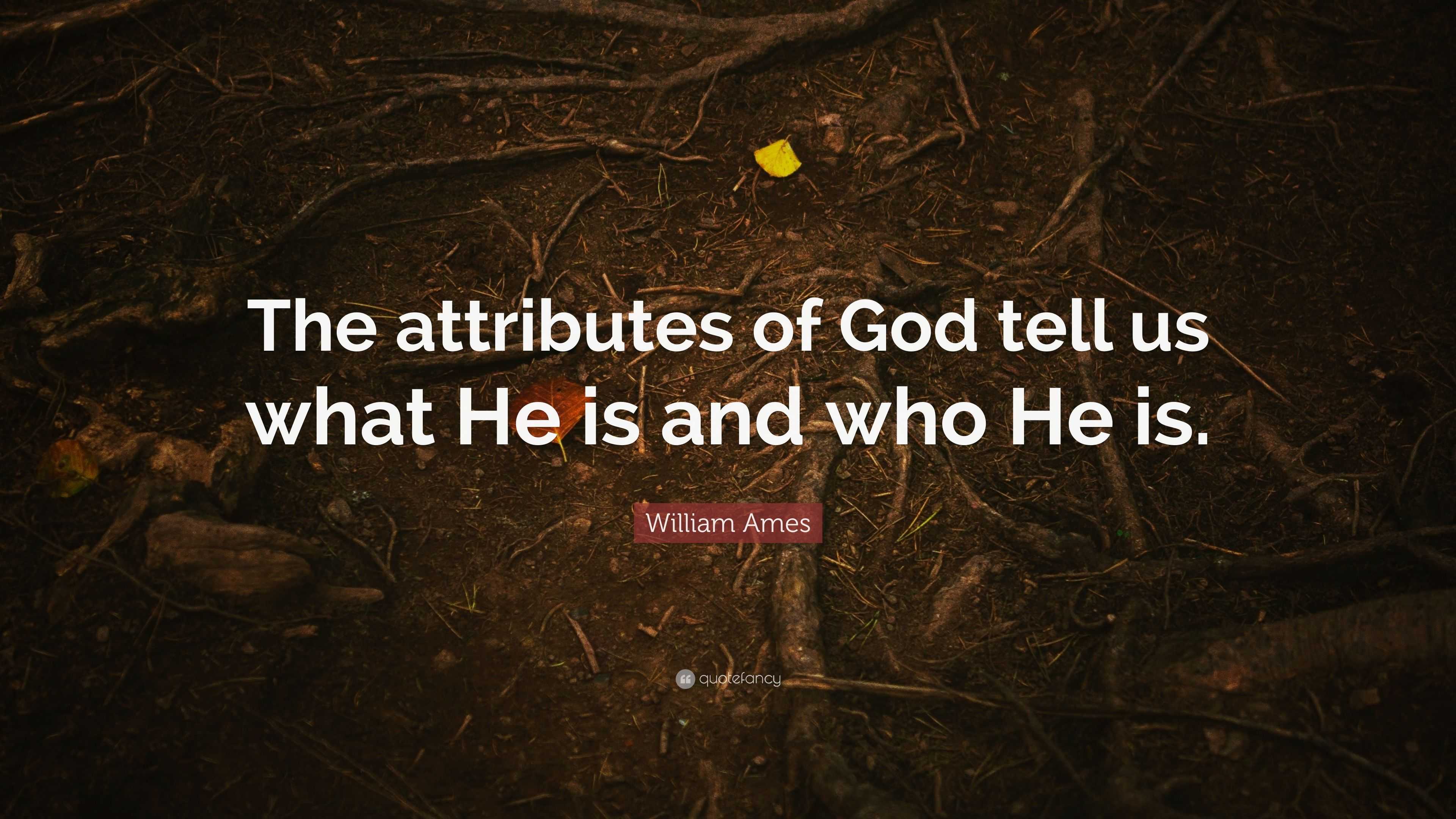 William Ames Quote: “The attributes of God tell us what He is and who ...