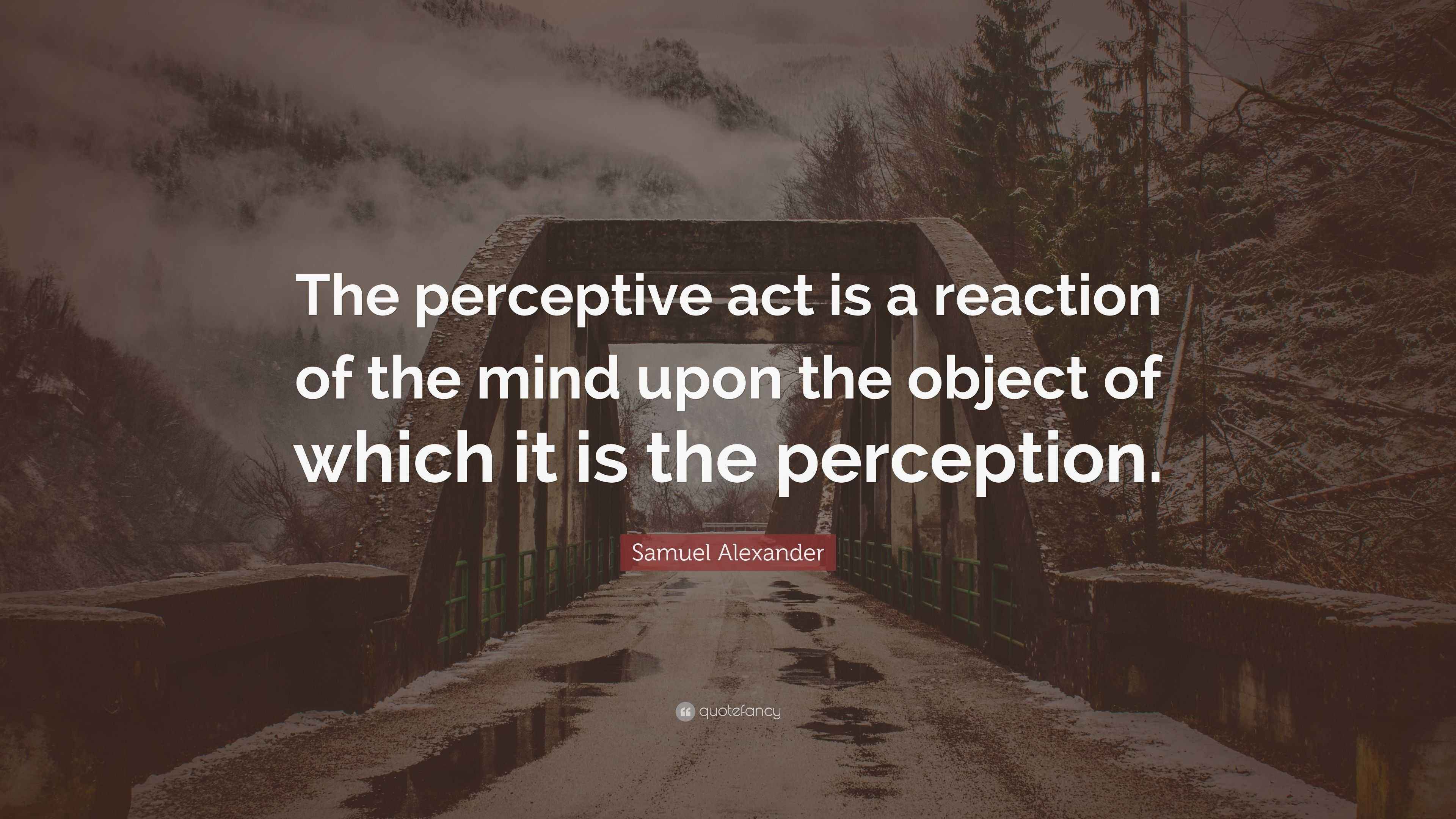 Samuel Alexander Quote: “The perceptive act is a reaction of the mind ...