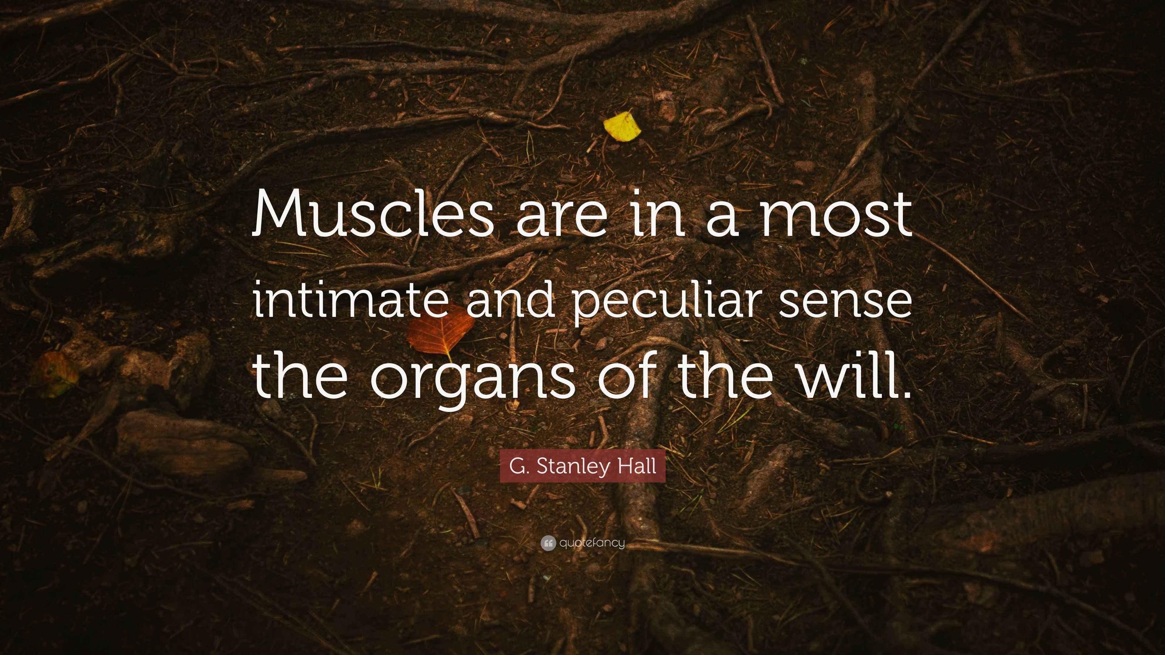 G. Stanley Hall Quote: “Muscles are in a most intimate and peculiar ...