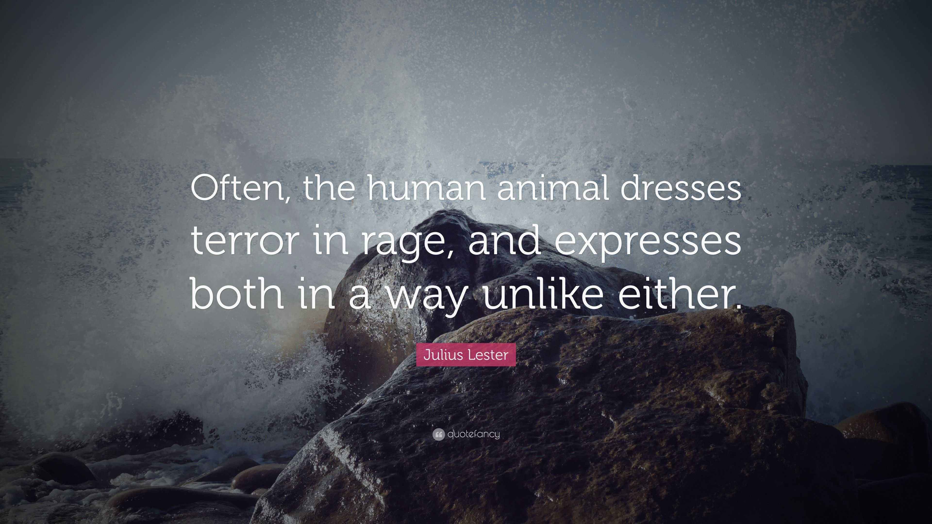 Julius Lester Quote: “Often, the human animal dresses terror in rage ...