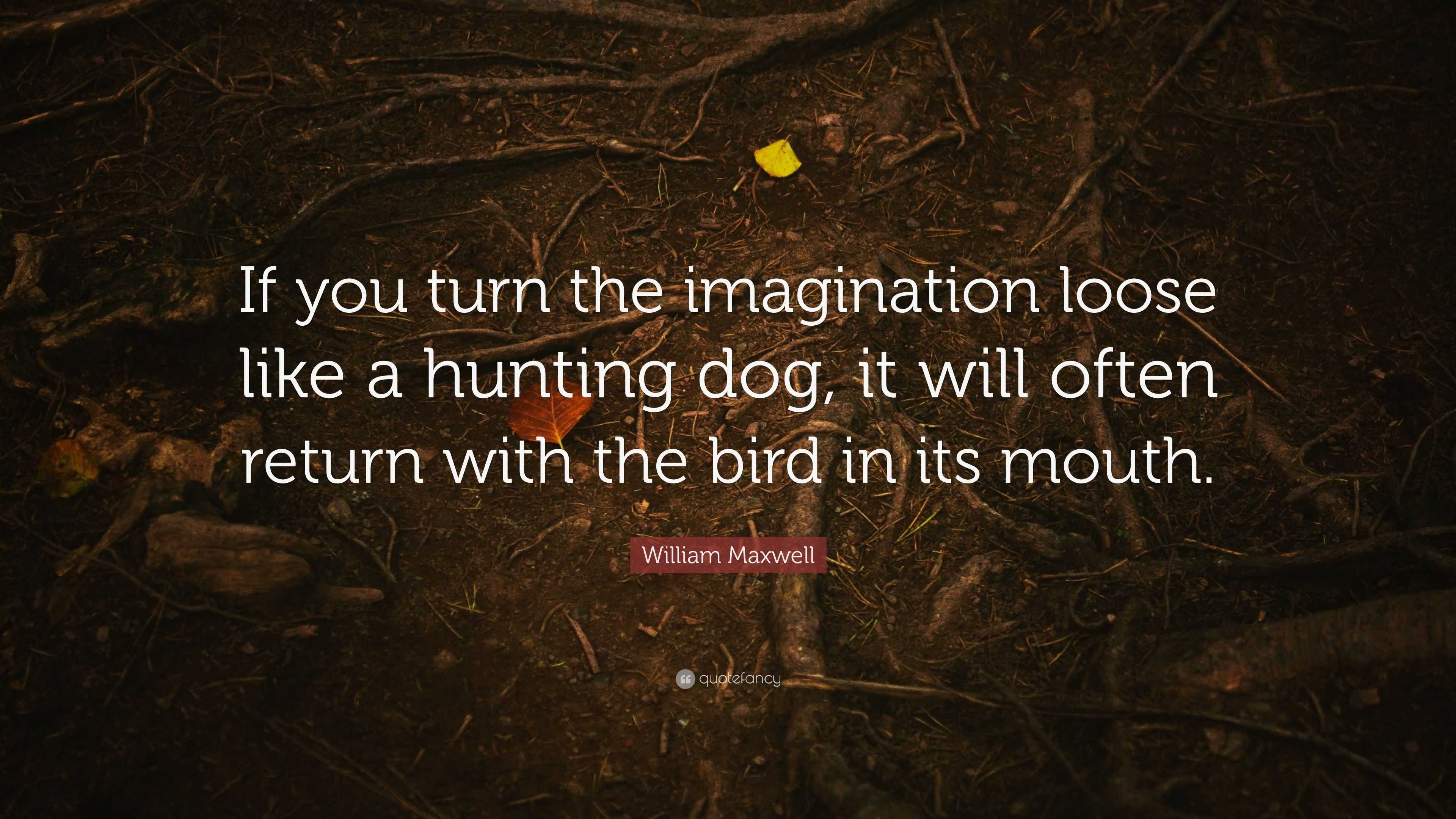 William Maxwell Quote: “If you turn the imagination loose like a ...