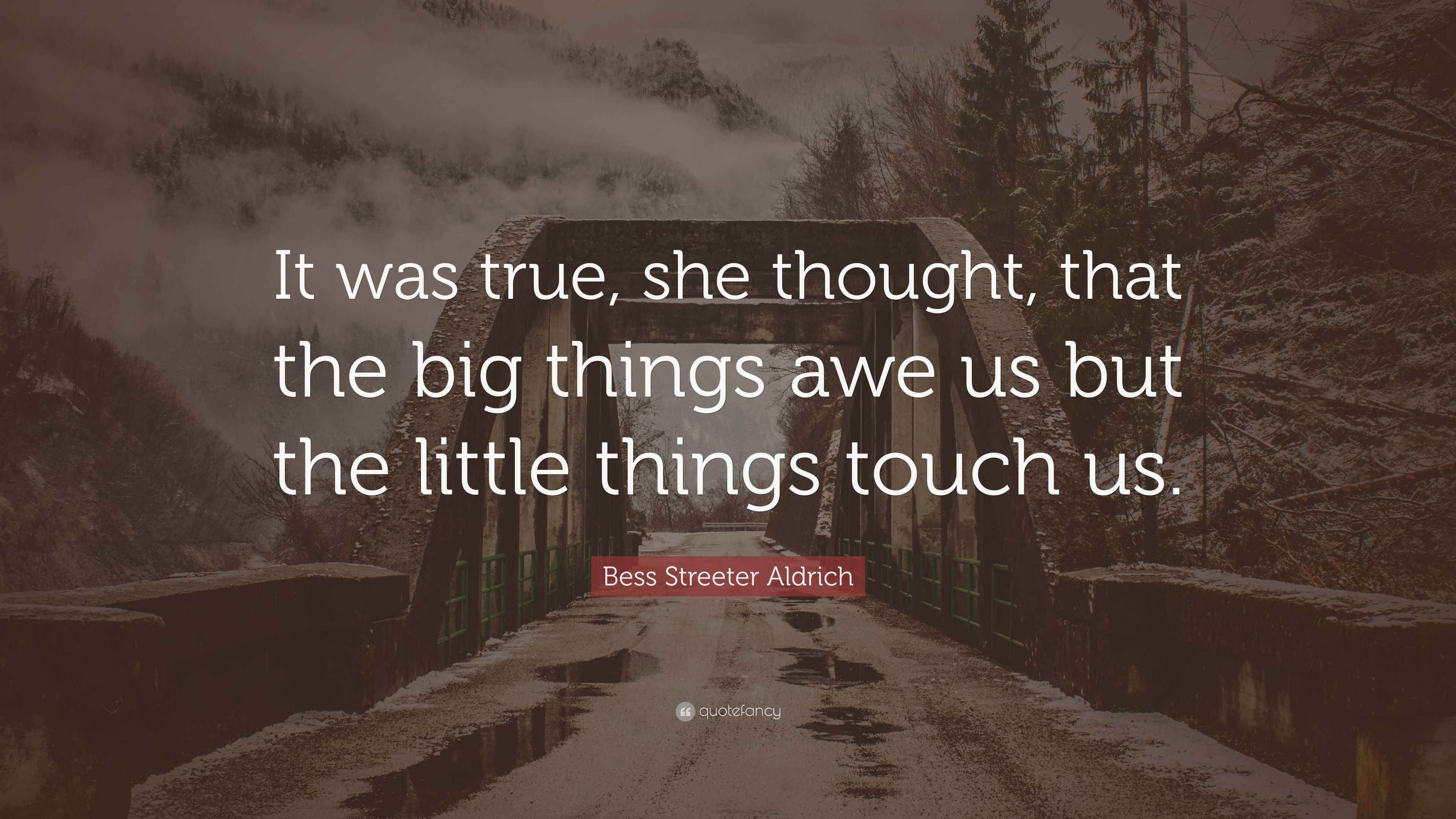 Bess Streeter Aldrich Quote: “It was true, she thought, that the big ...