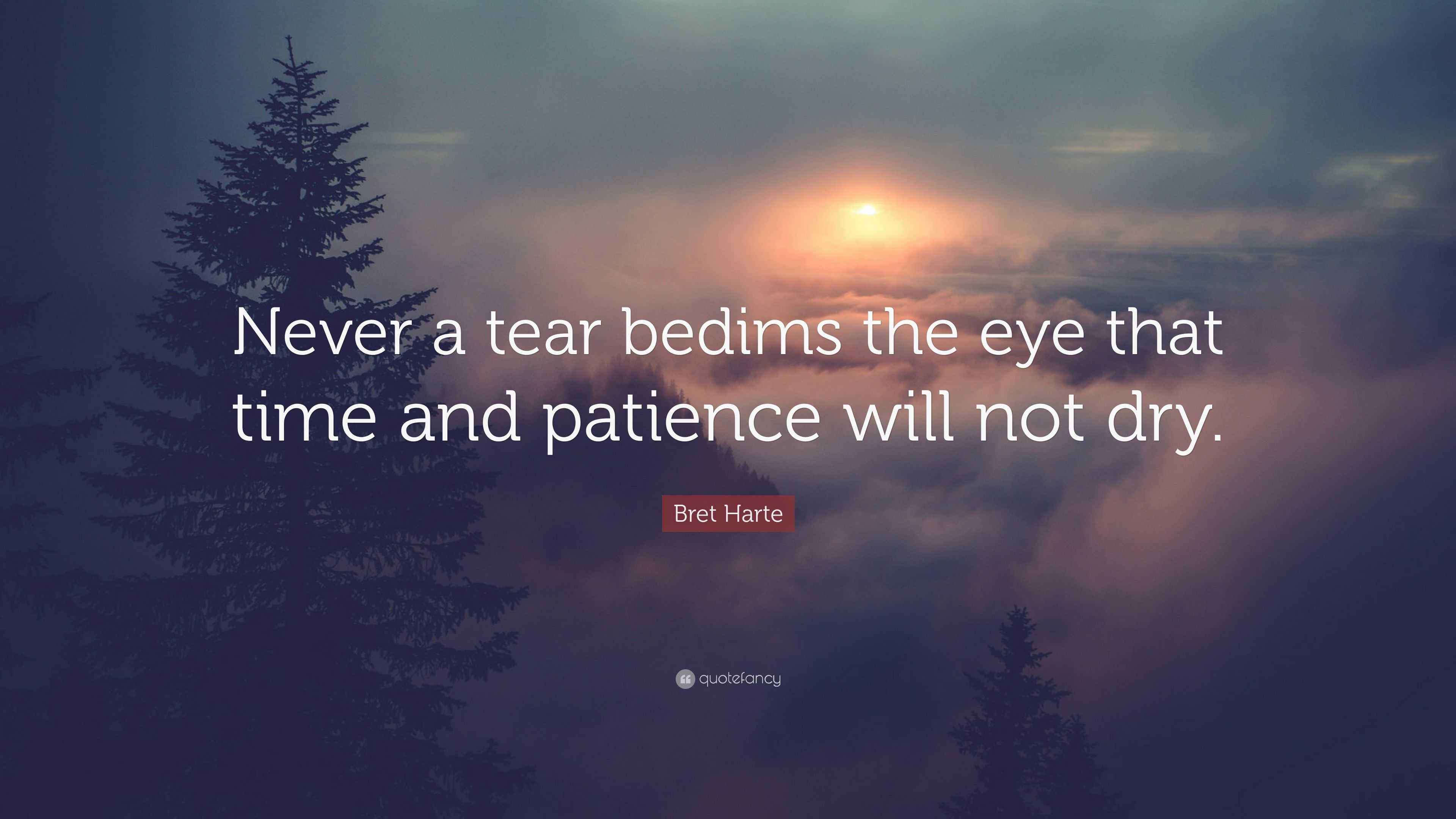 Bret Harte Quote: “Never a tear bedims the eye that time and patience ...